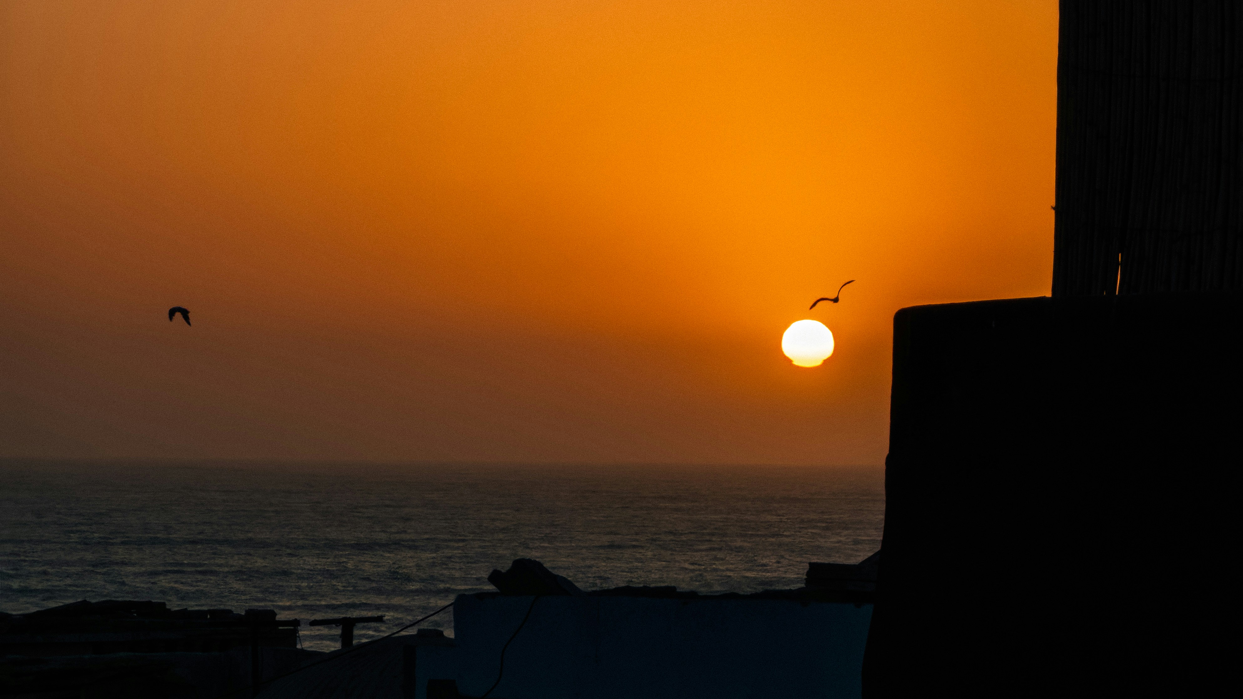 Silhouette at Sundown: A Quiet Edge by the Sea