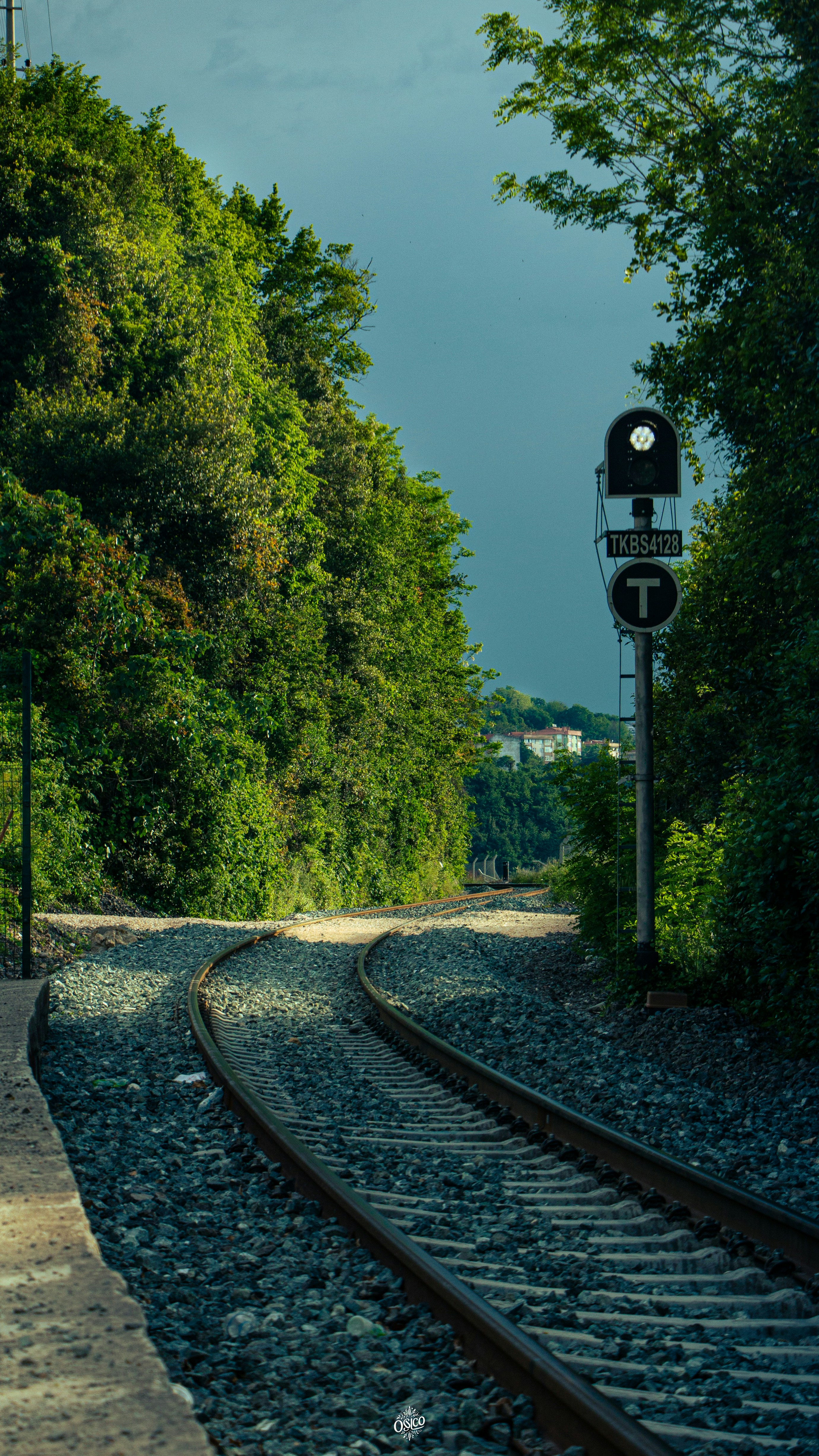 Rails into the Green Corridor