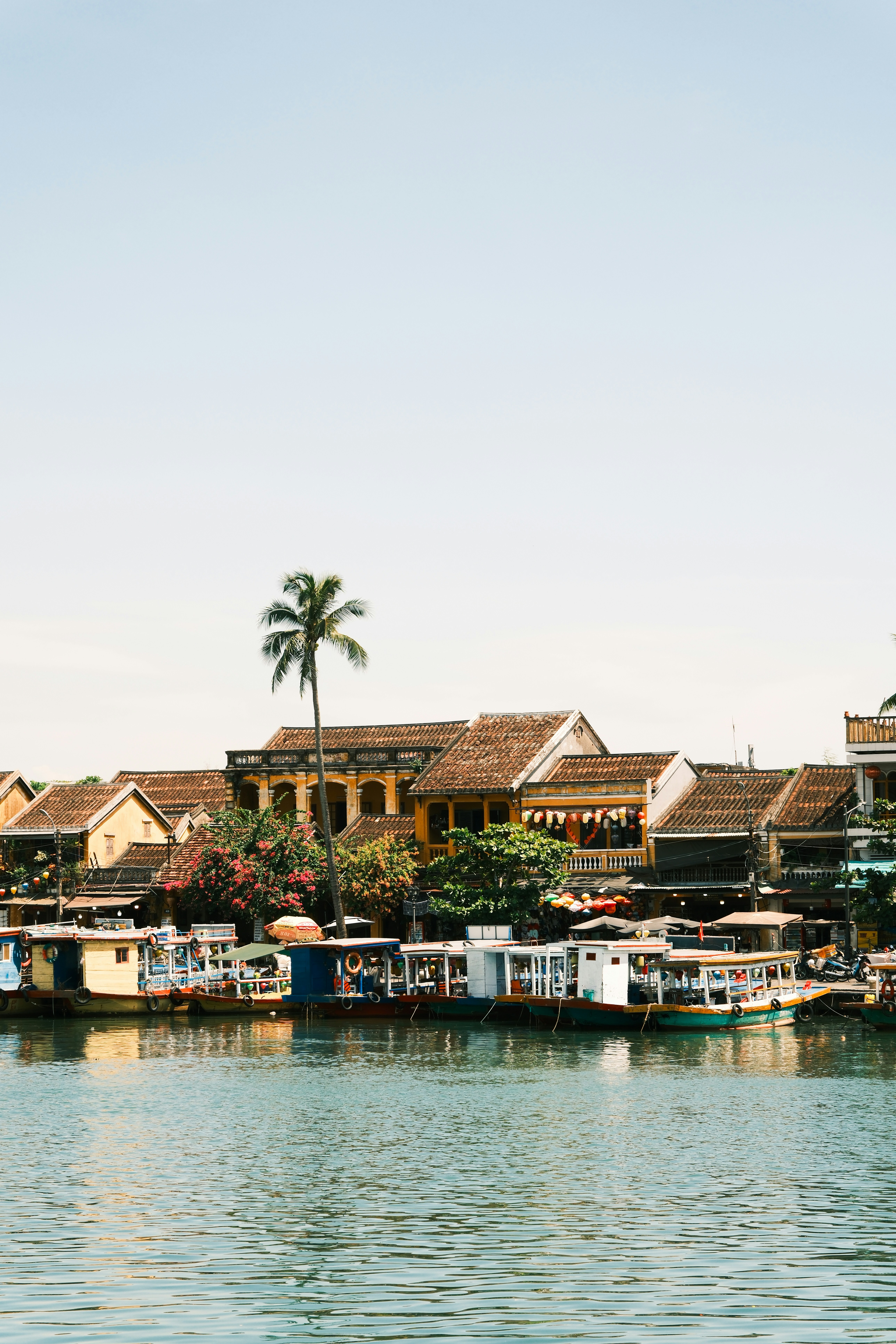Harbor Village: Boats, Thái Market, and a Lone Palm