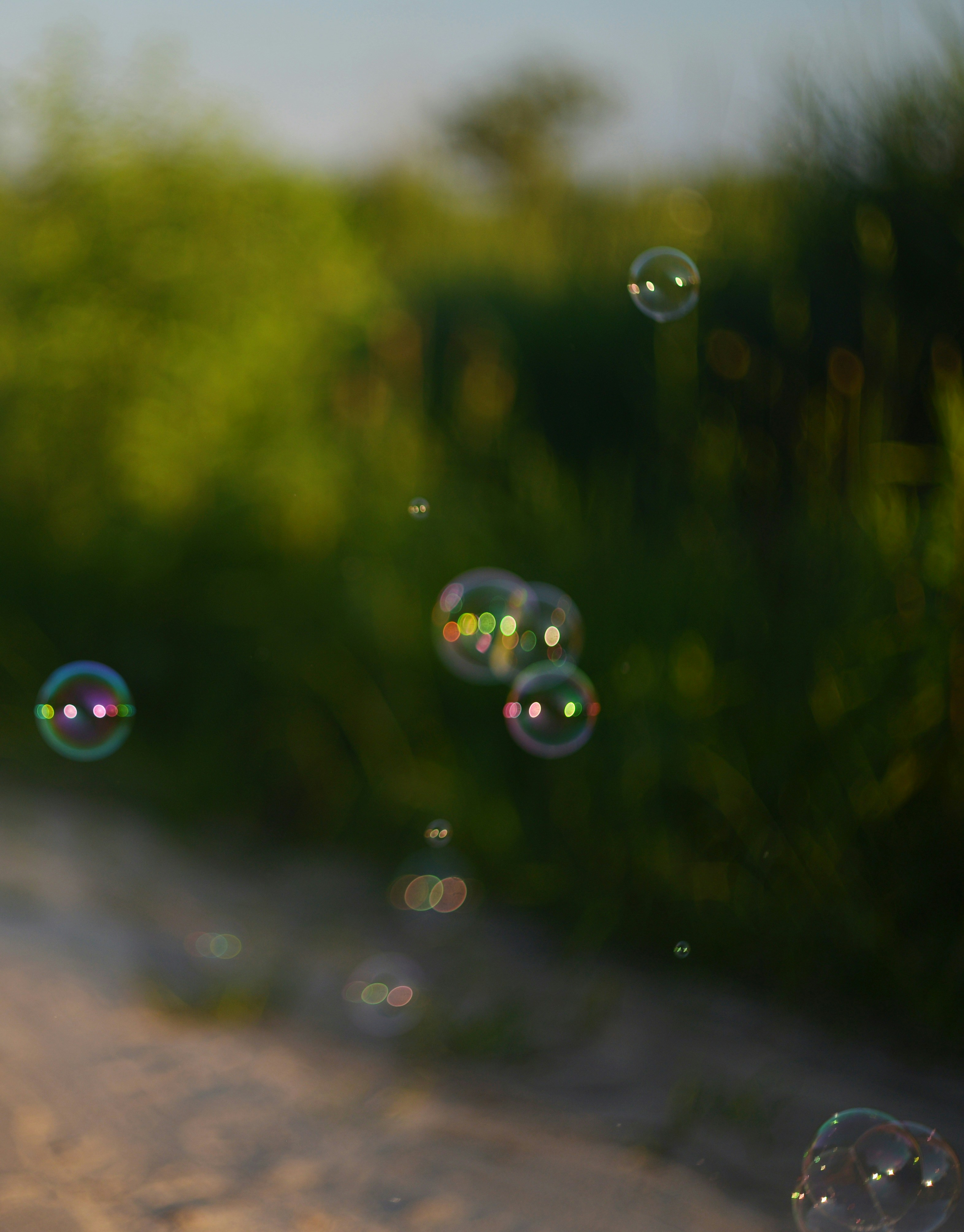 Bubbles floating in the air with a blurry green background.