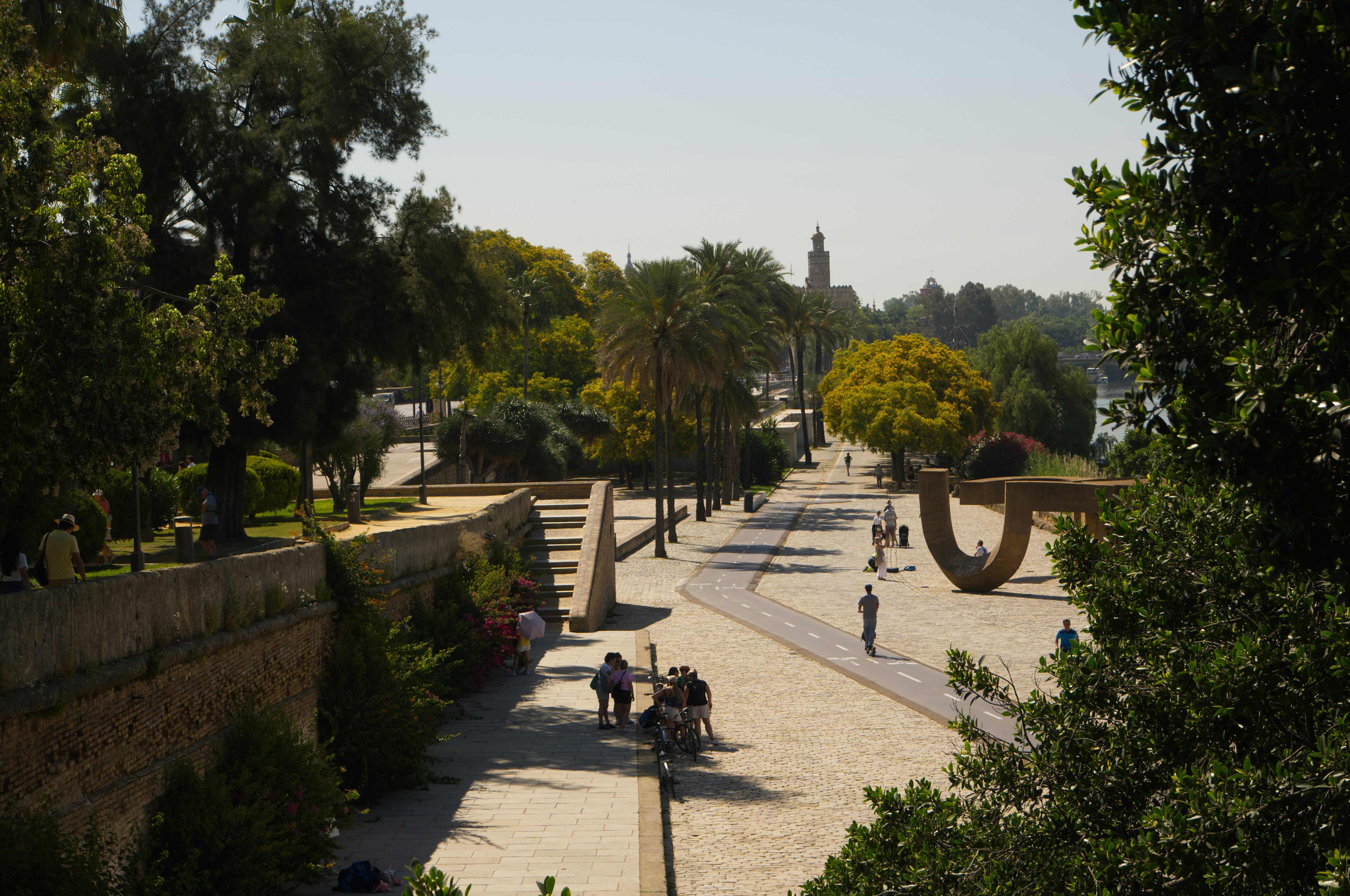 Sunlit Avenue: A Tranquil Riverside Promenade in Spring