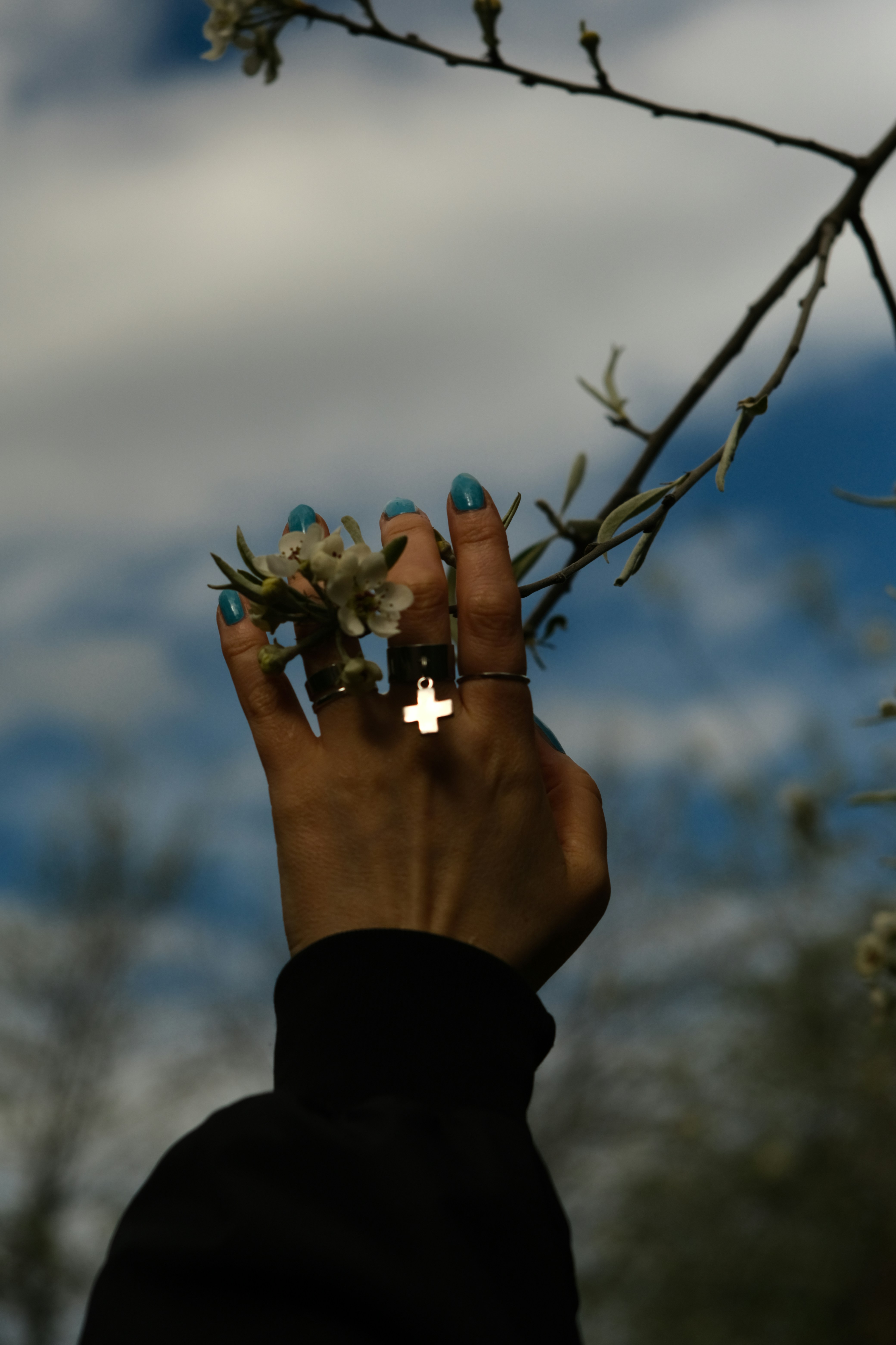 Blue-Tinted Nails and Cross: A Handful of Blossoms Against a Skyward Night