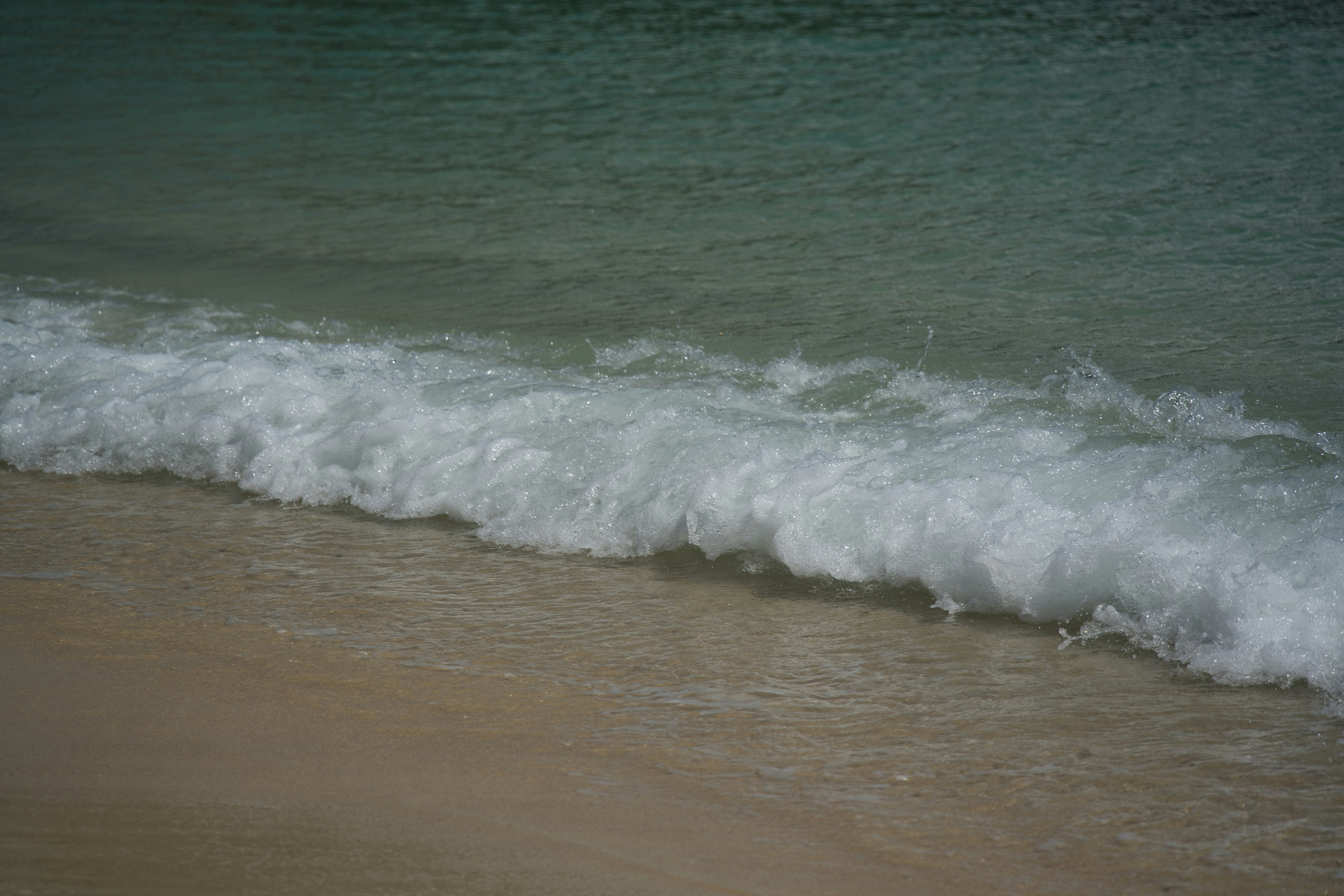 Seaside Crest: A Gentle Break on Quiet Shore