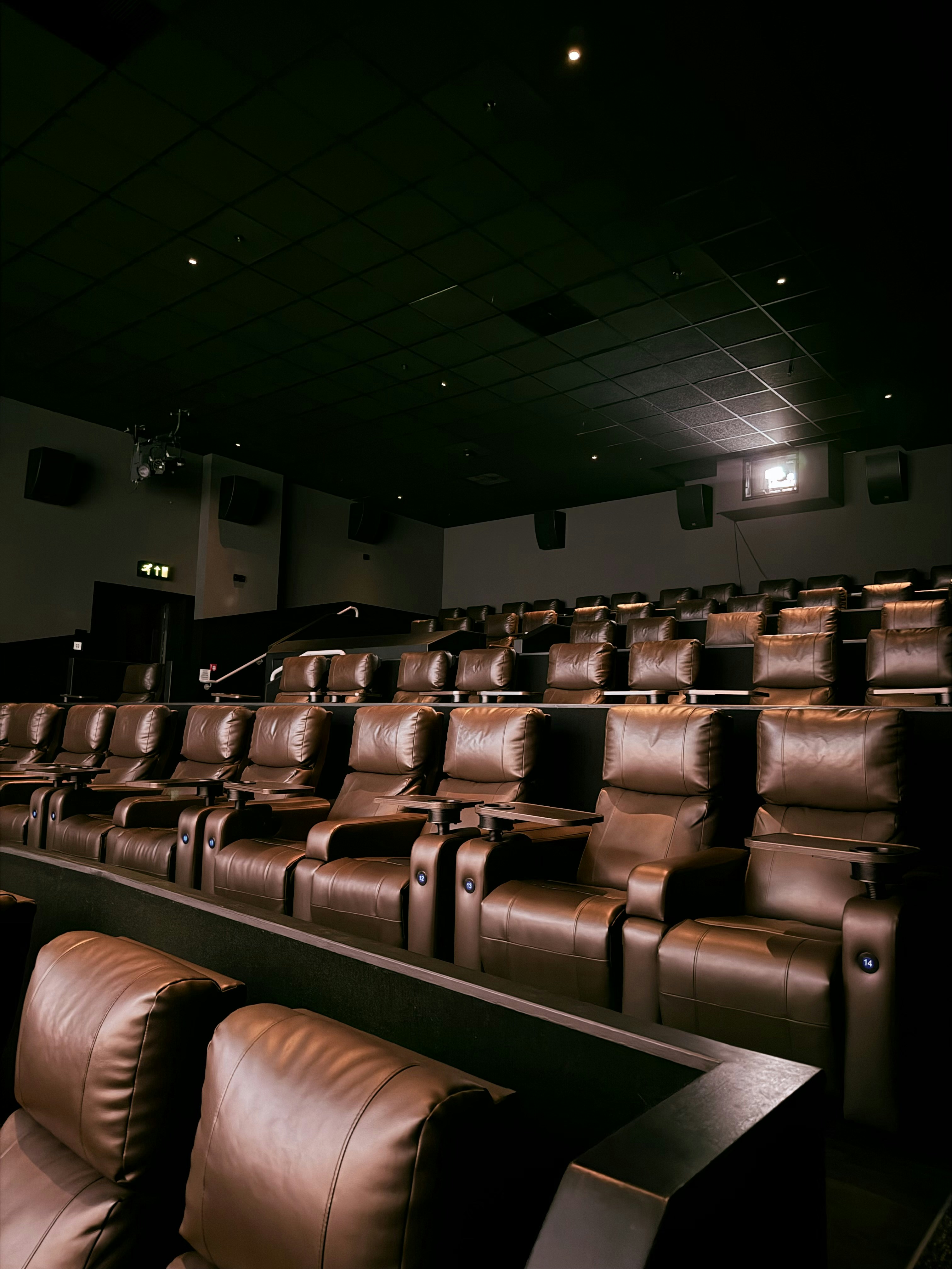 Red-Walled Quiet: An Empty Theaterscape with Plush Seating