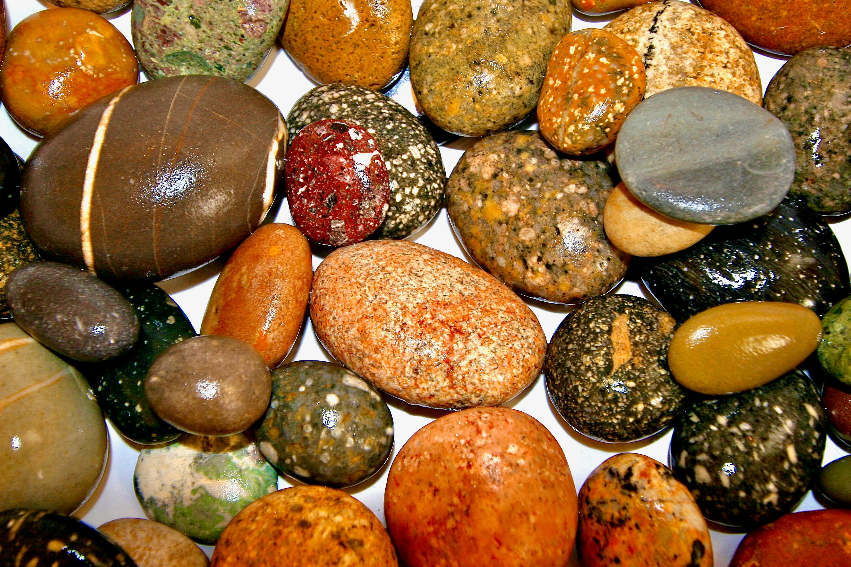 Pebble Mosaic: A Close-Up of Smooth River Stones in Earthy Tones