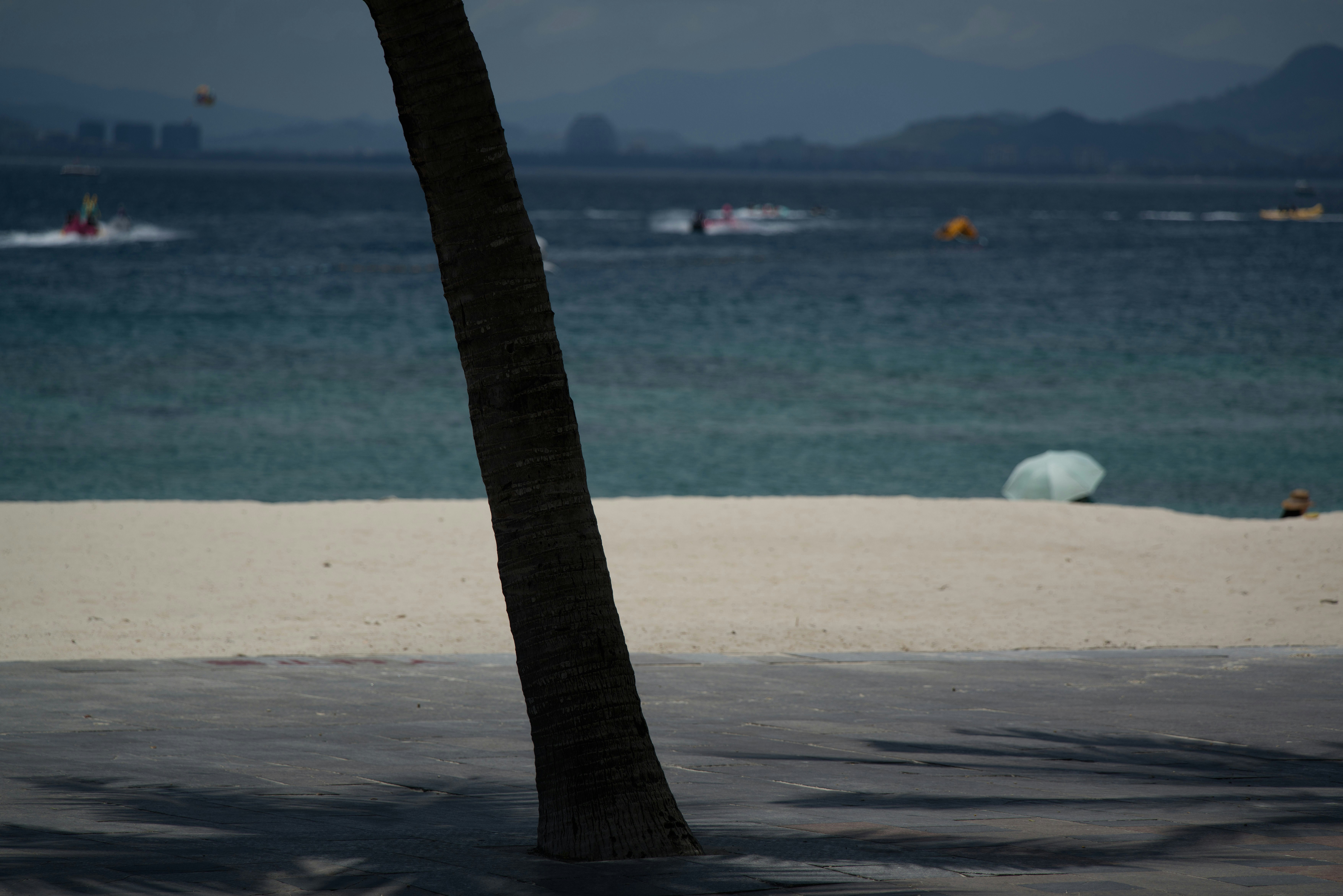 Shadowed Trunk on a Quiet Beach