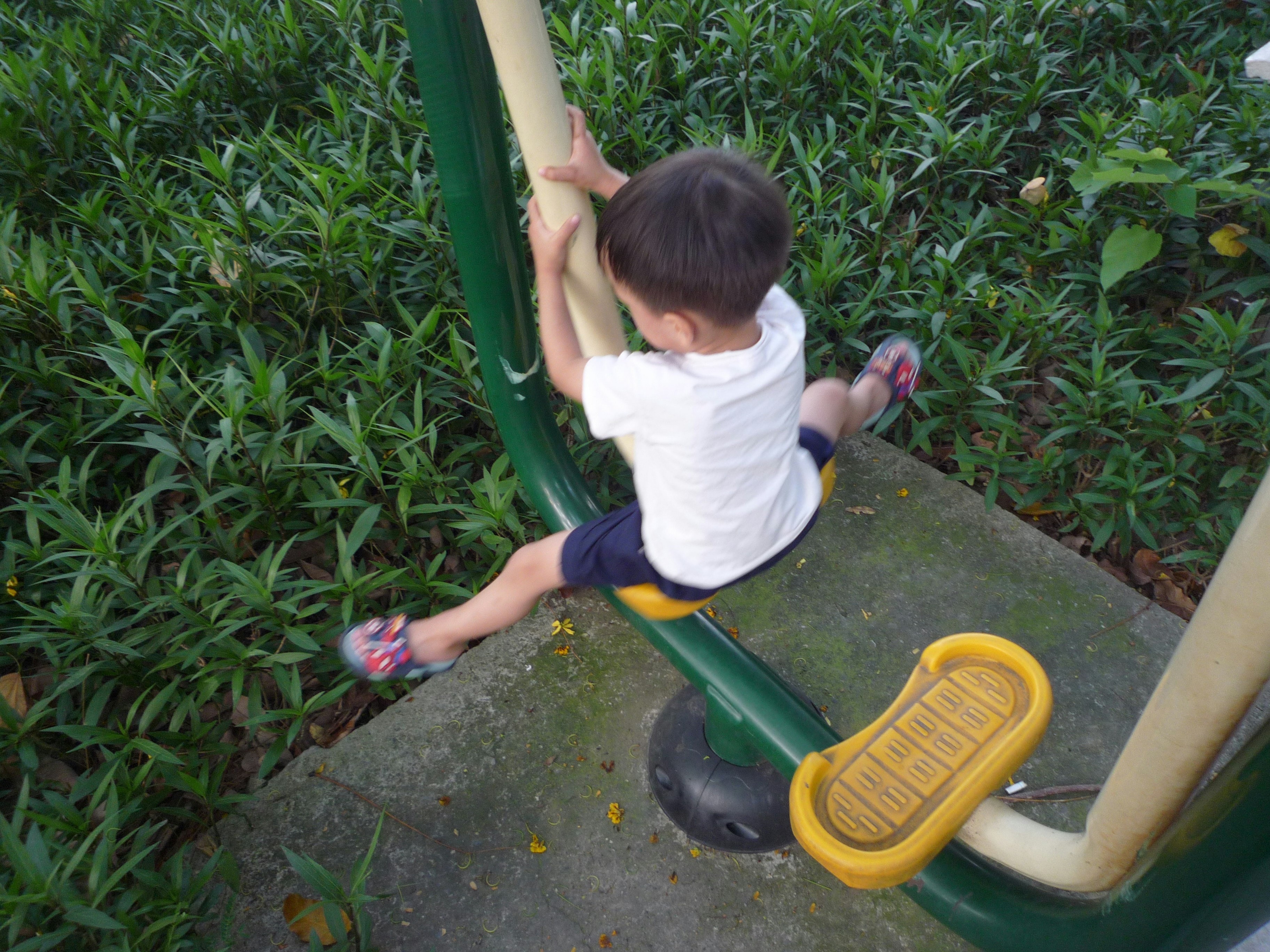 Child on a Green Swing Bar Reaches Toward the Tree Line