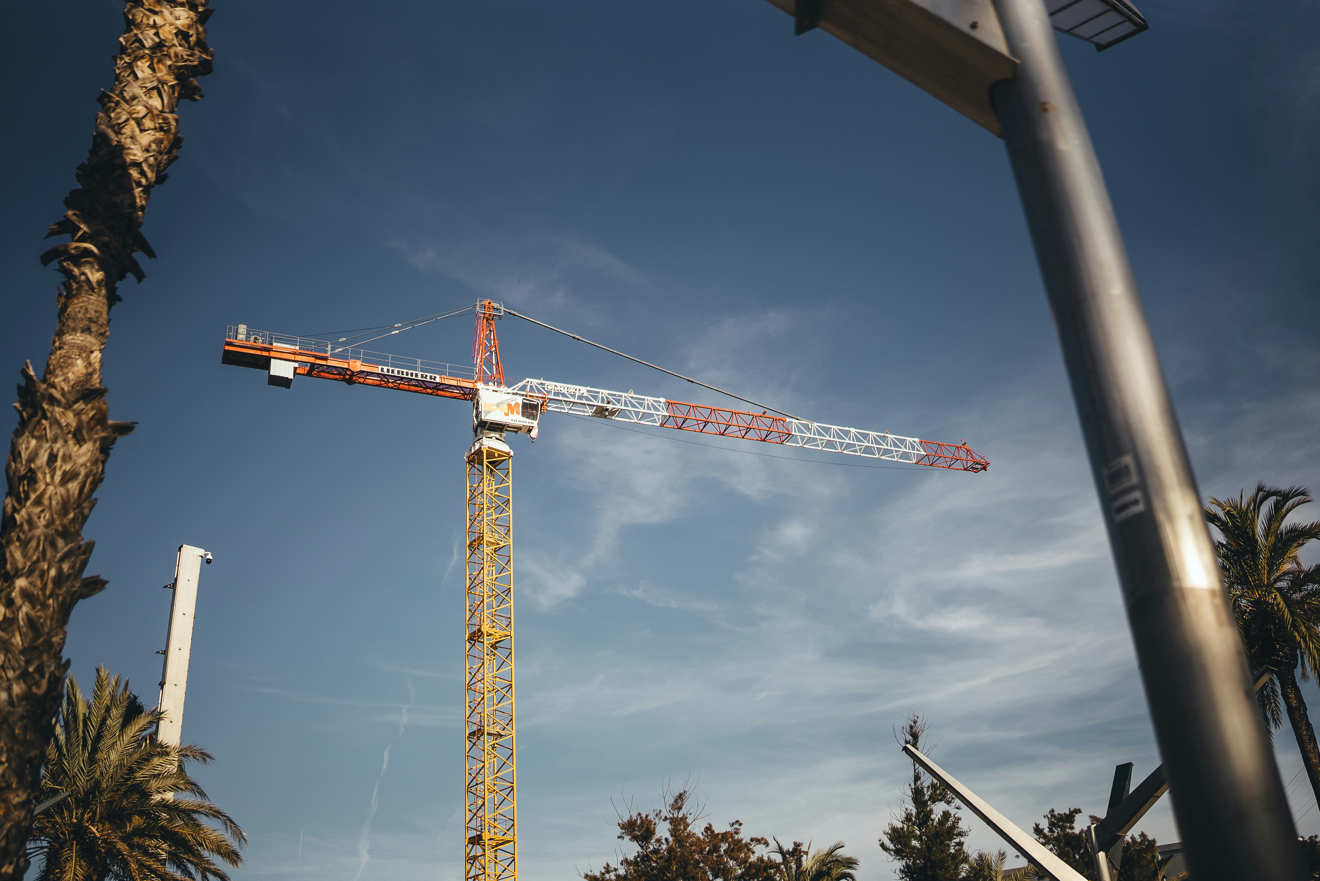 Crane Amid Palm Shadows: A Skyward Construction Moment