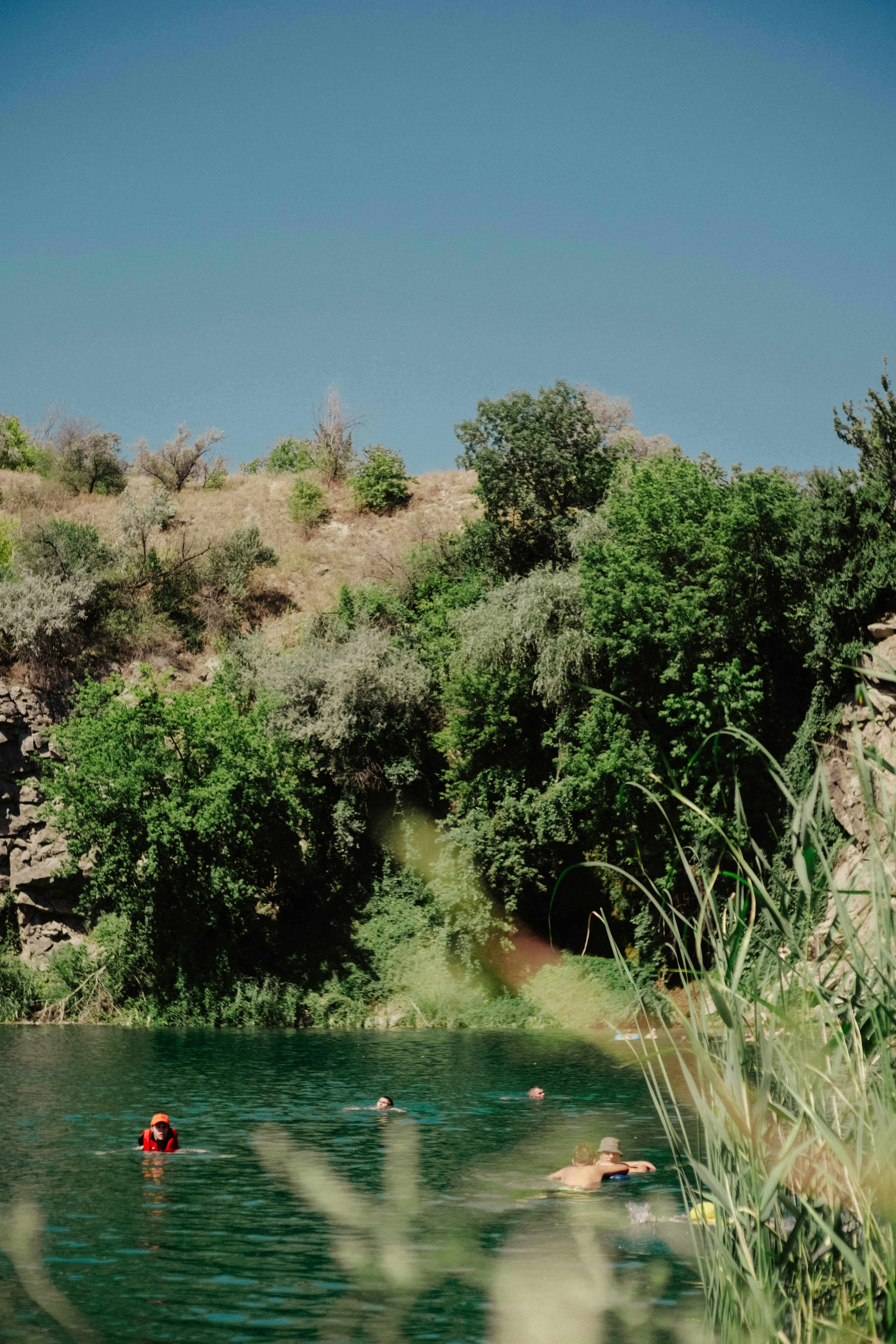 Calm river with swimmers near a green hillside and blue sky; foreground grasses frame the water and cliffside vegetation.