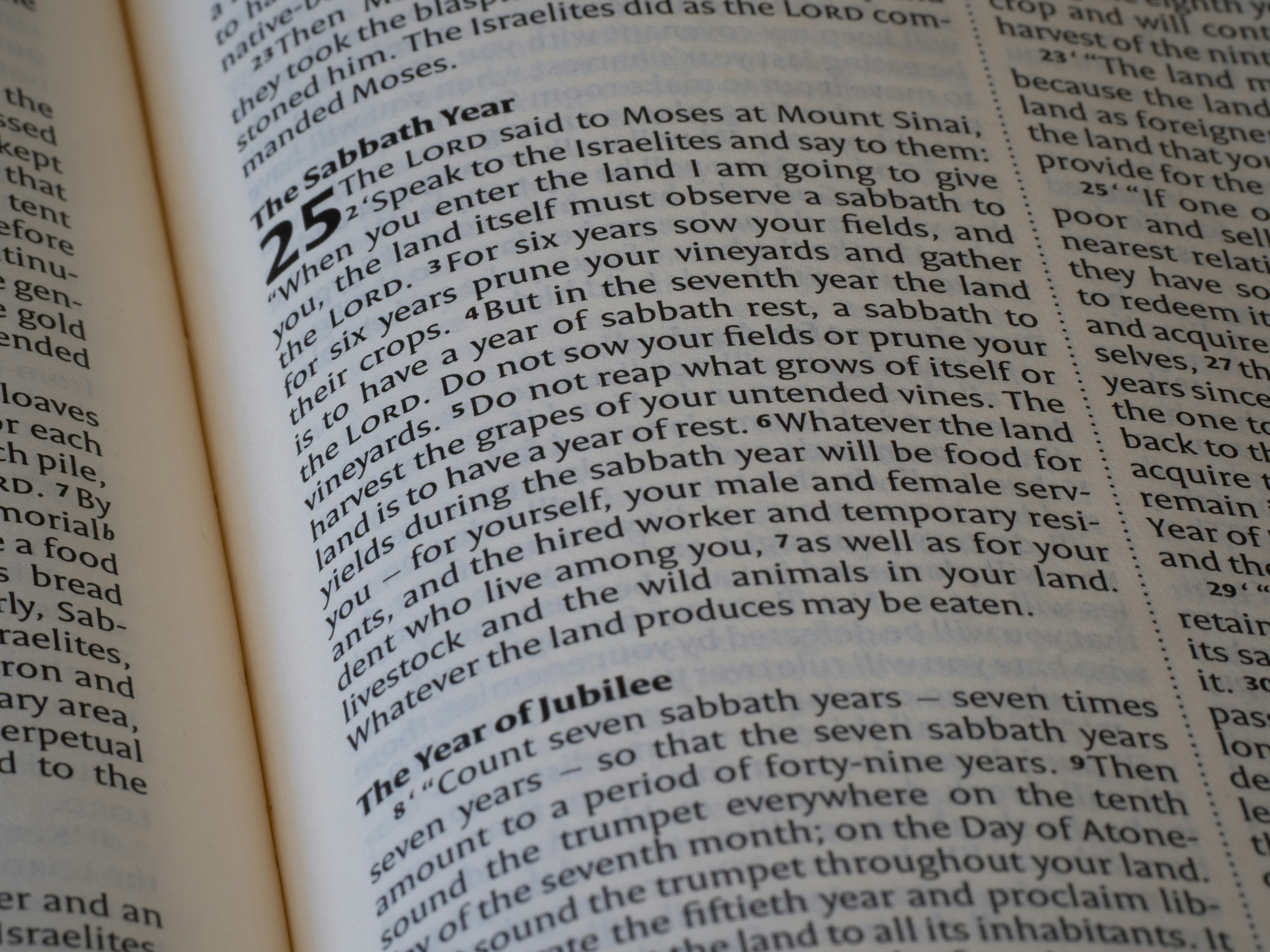 The Book of Leviticus