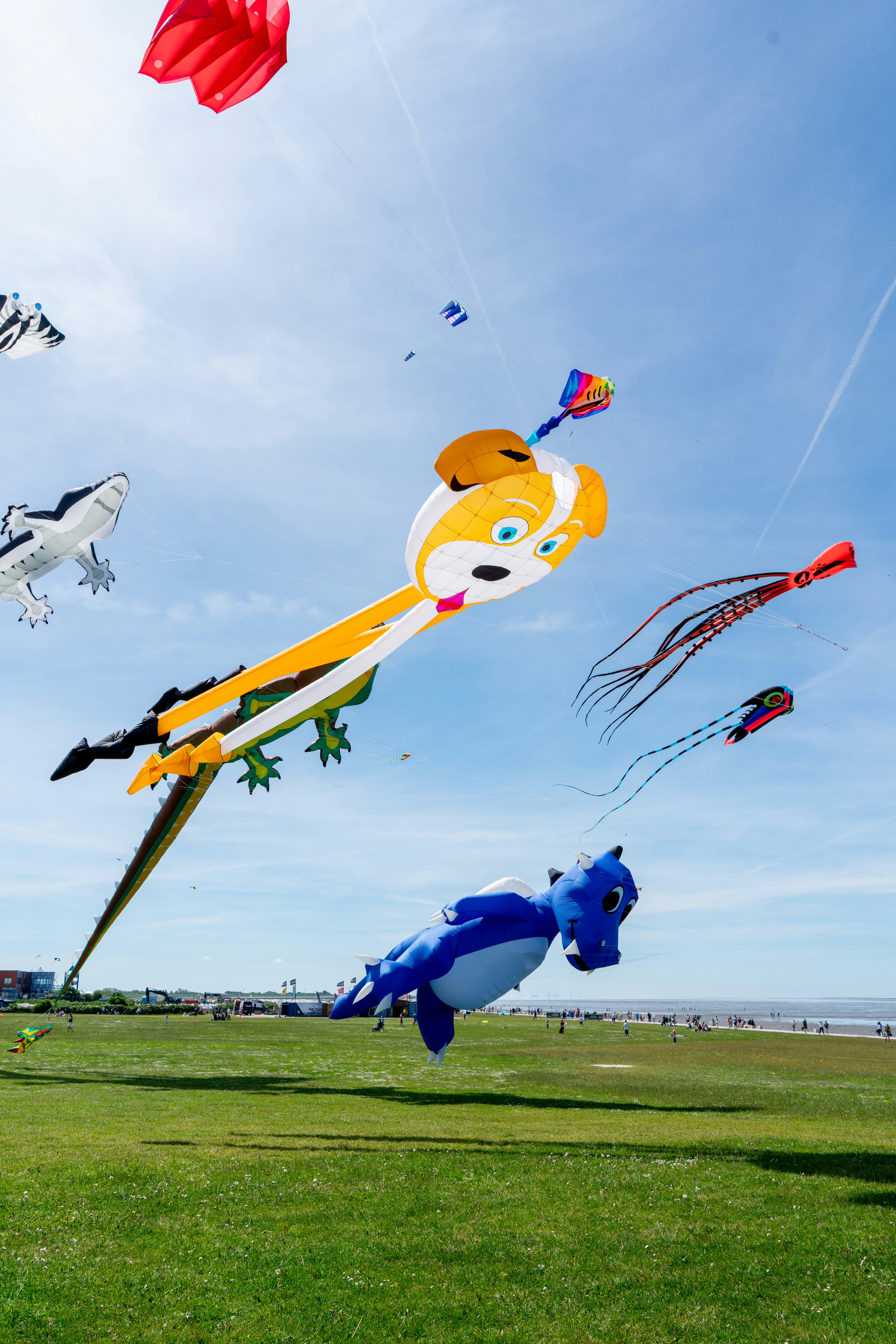 Kite Parade Over the Green Coast