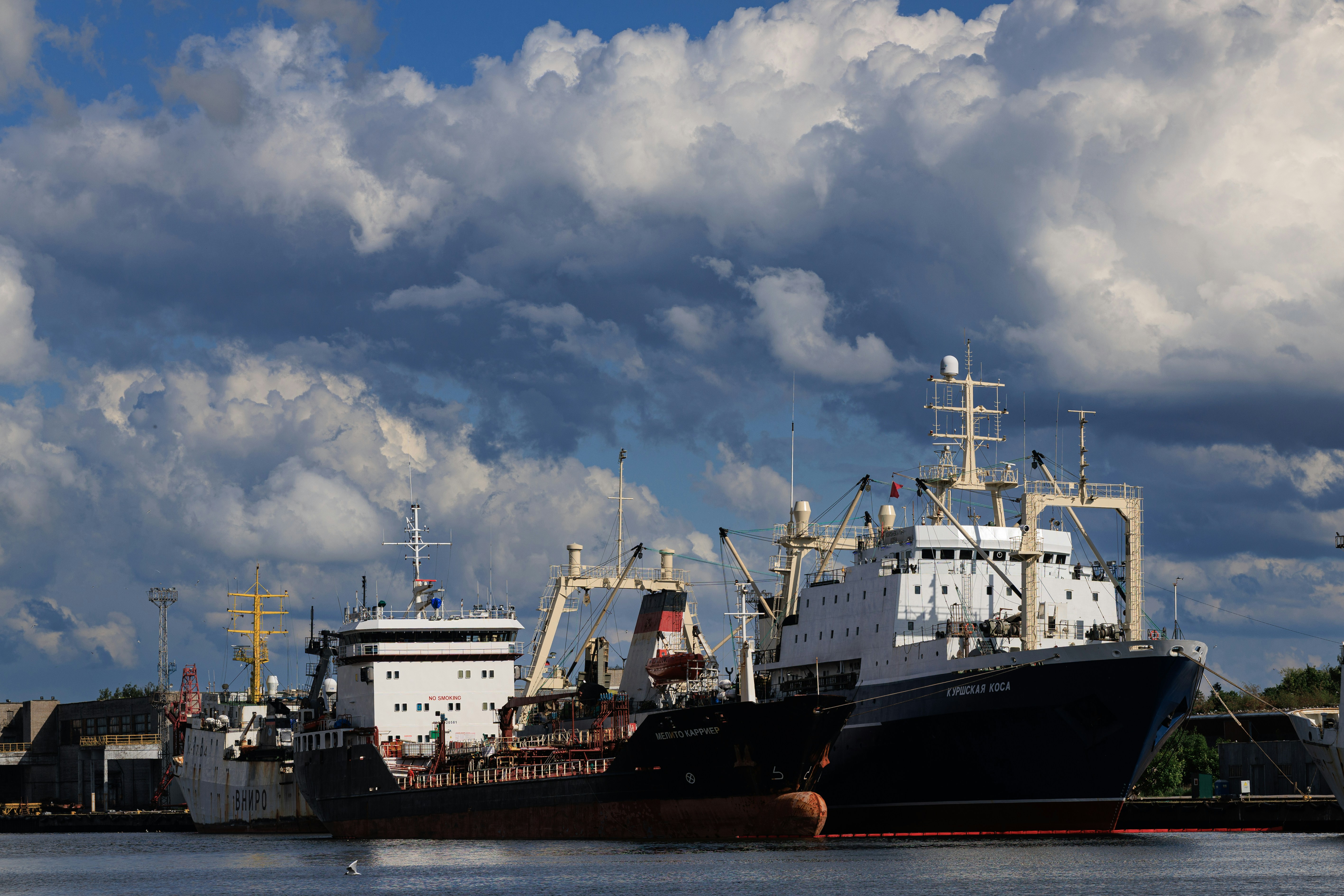 Harbor Giants at Dusk: A Convoy of Cargo Ships Rest by the Quayside
