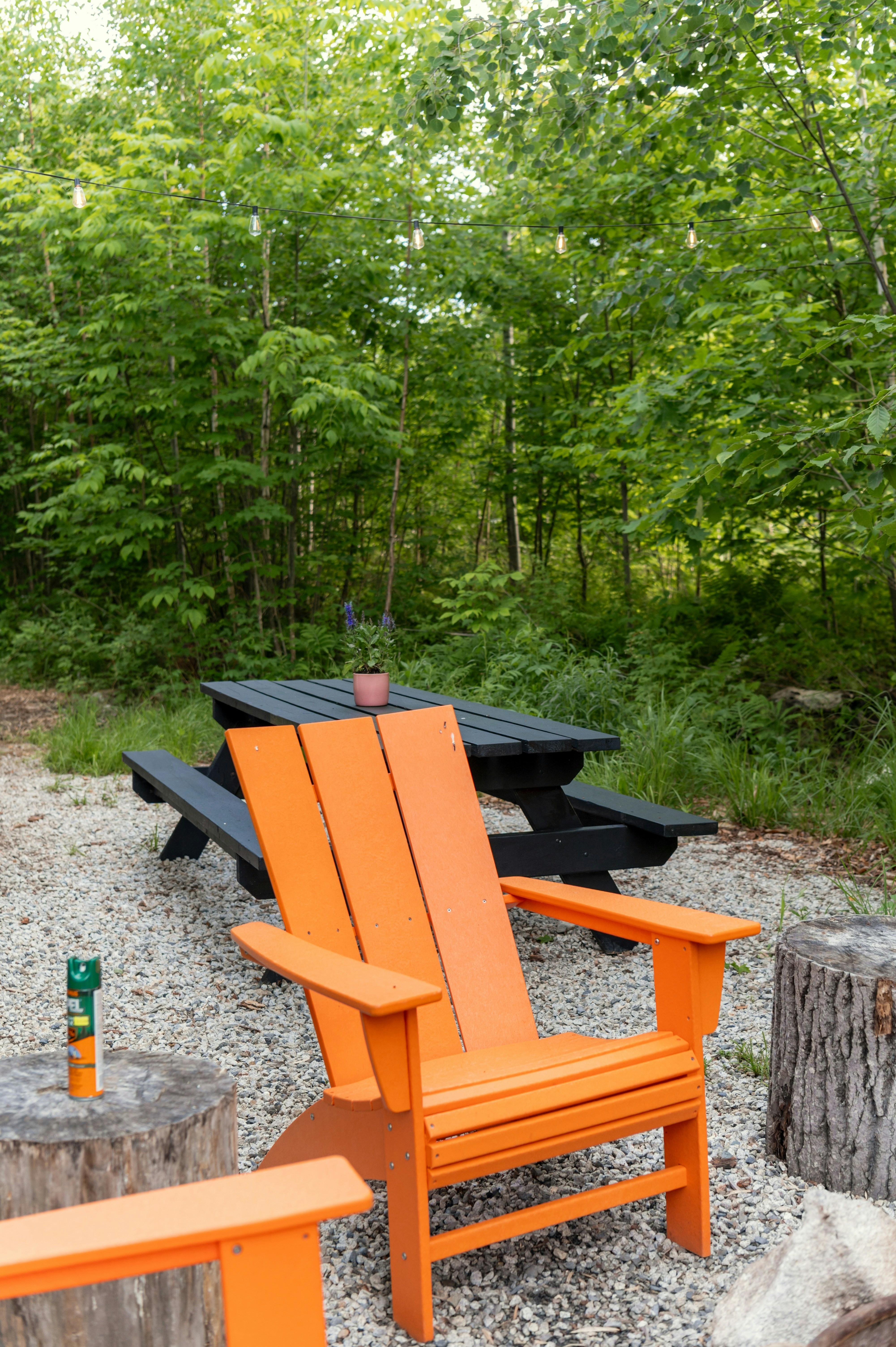 Orange Adirondack Chair in a Quiet Woodland Clearing