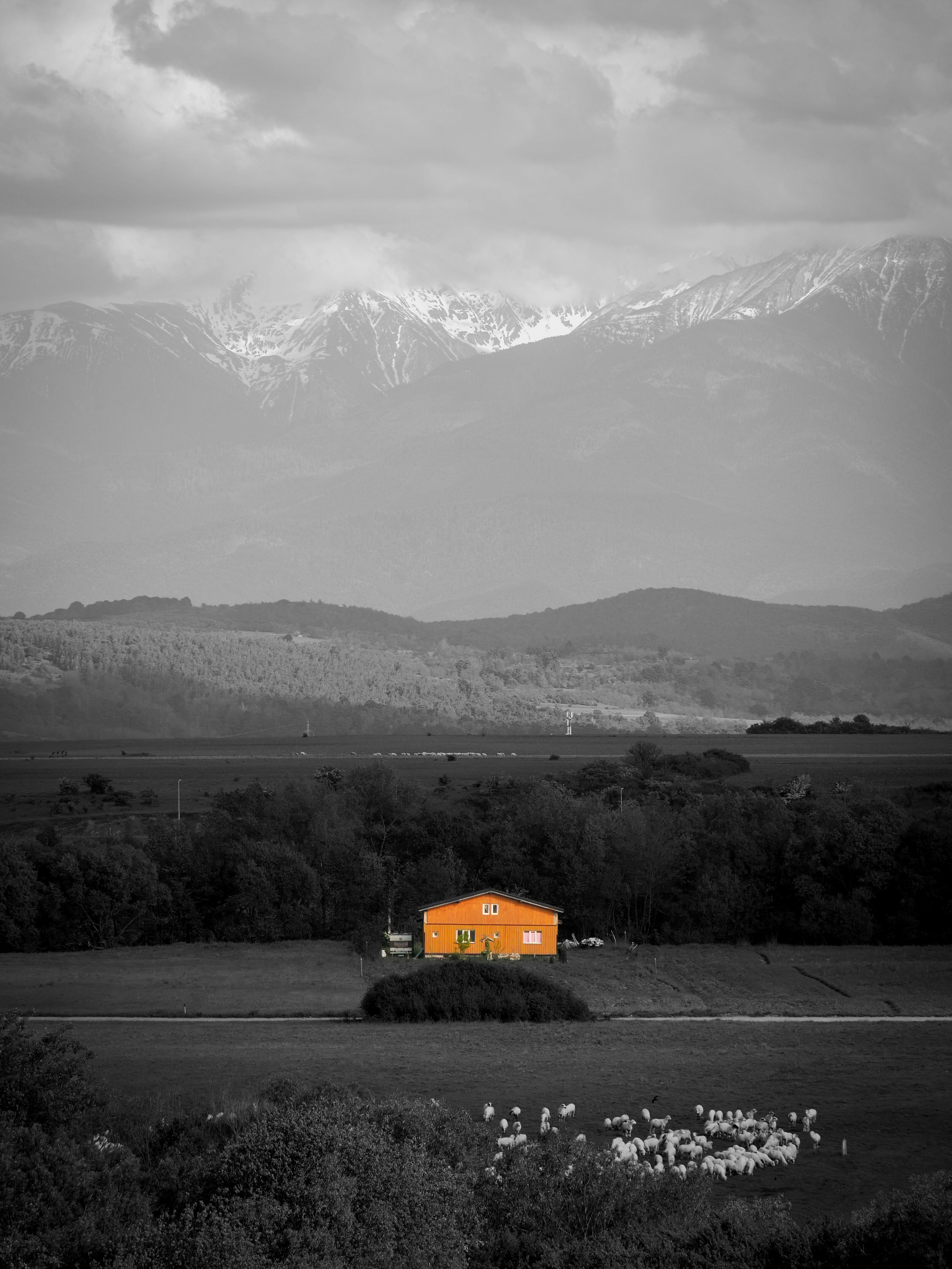 Orange House Amid Rolling Fields Beneath Snowy Peaks