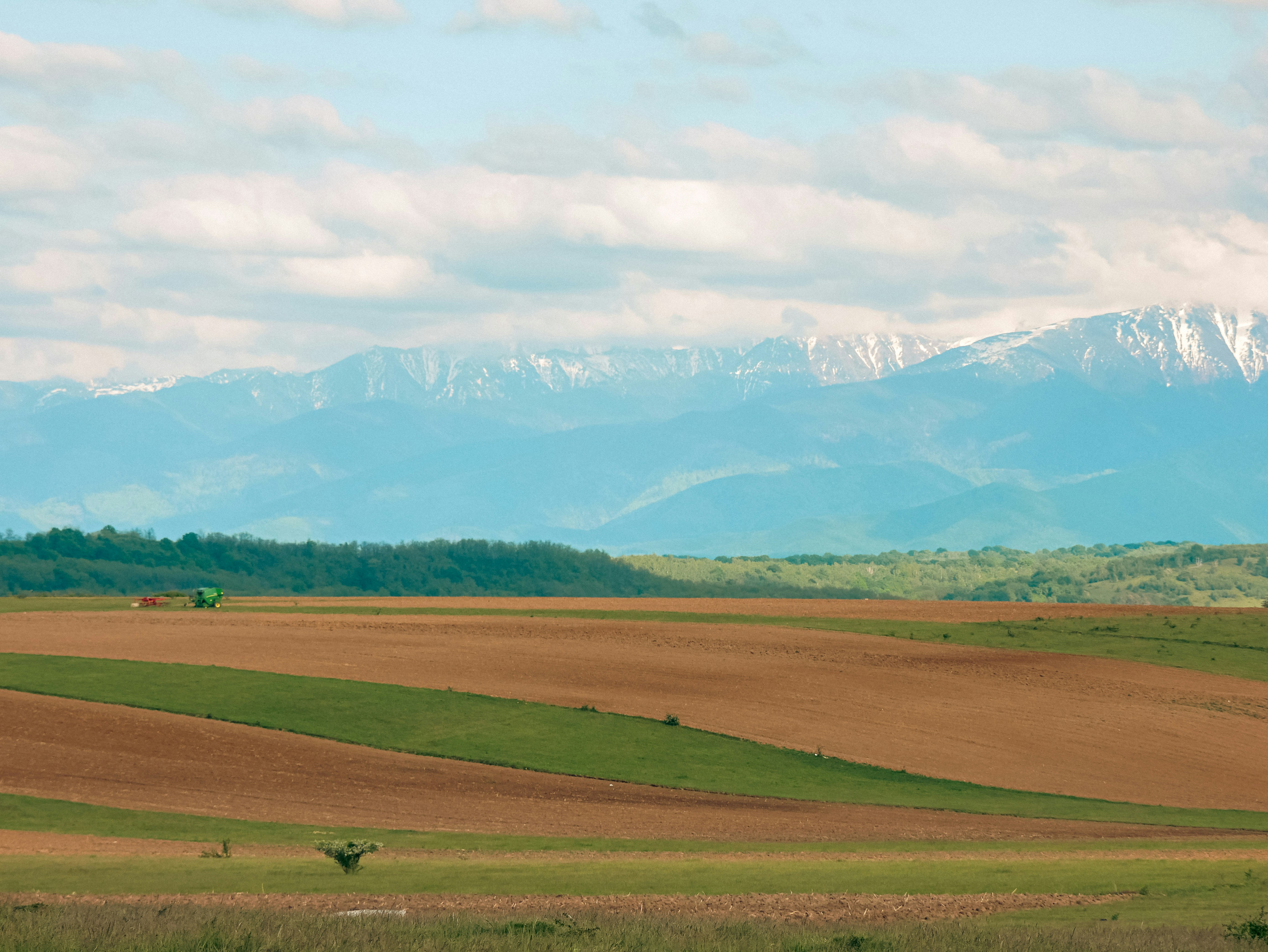 Pastoral Rows Beneath Snow-kissed Peaks