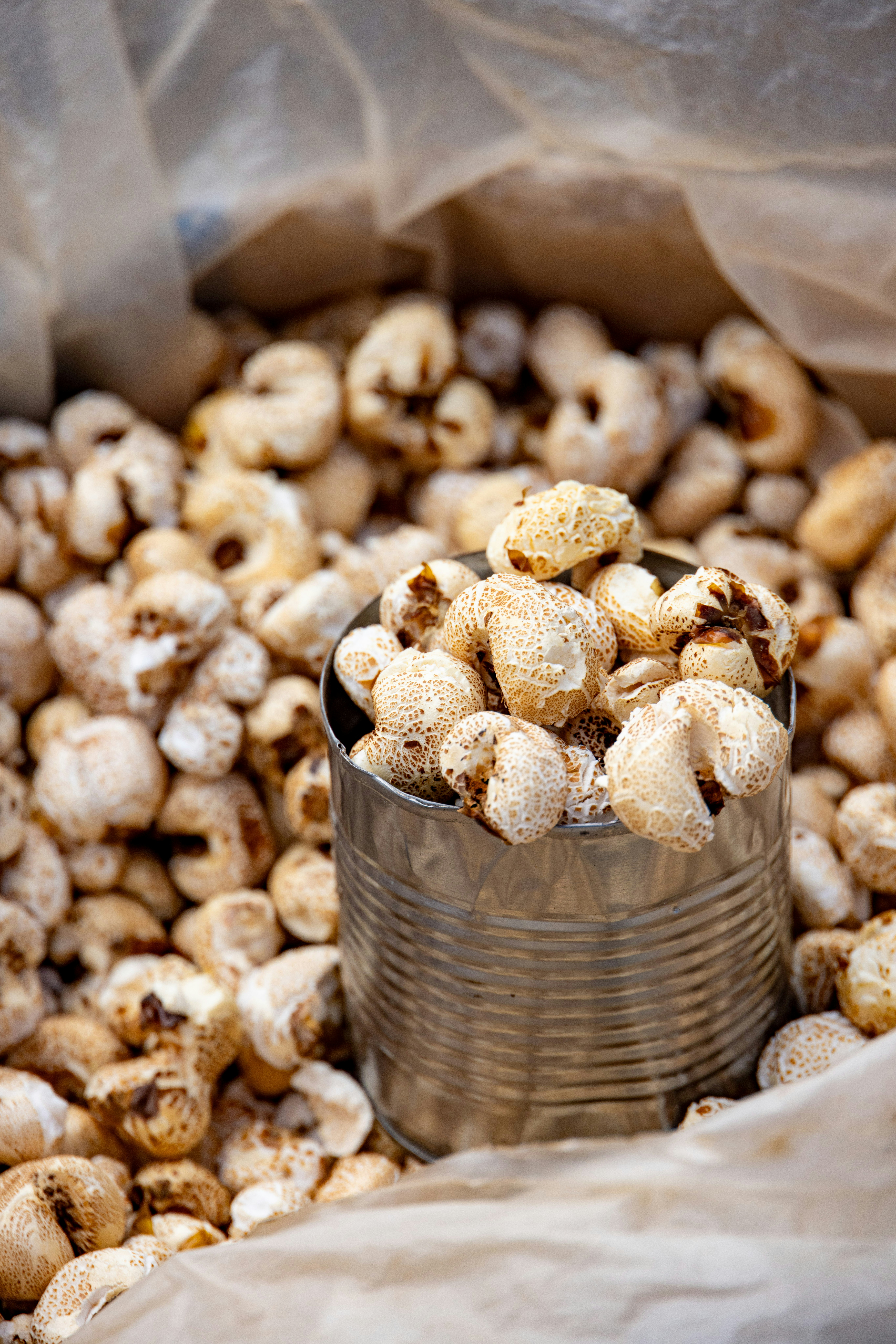 Tin Can Harvest: Popcorn Corners Rising from a Burlap Sea