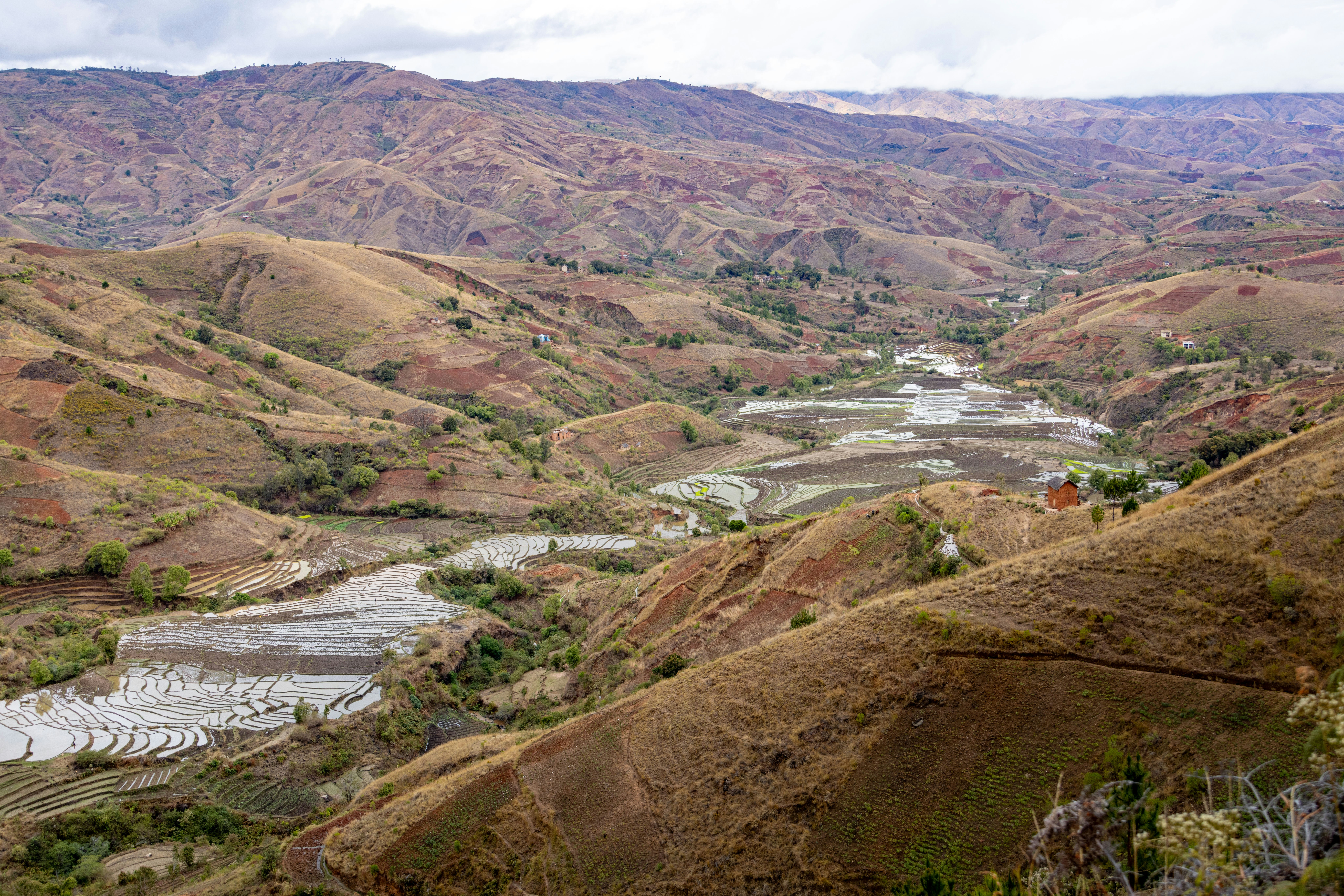 Terraced Valleys Under a Quiet Sky
