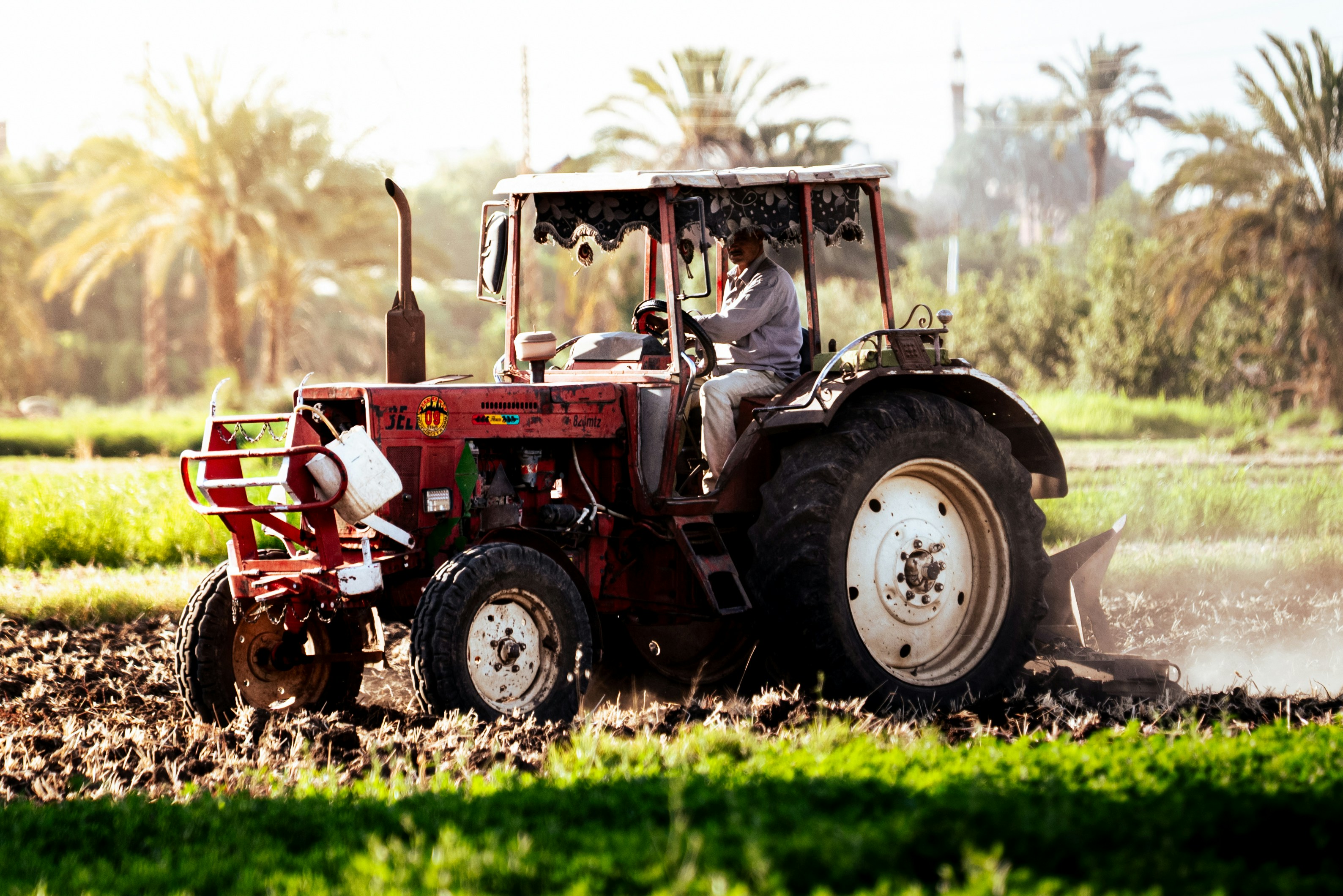 Dusty Workhorse: A Red Tractor Tears Through the Field at Dawn