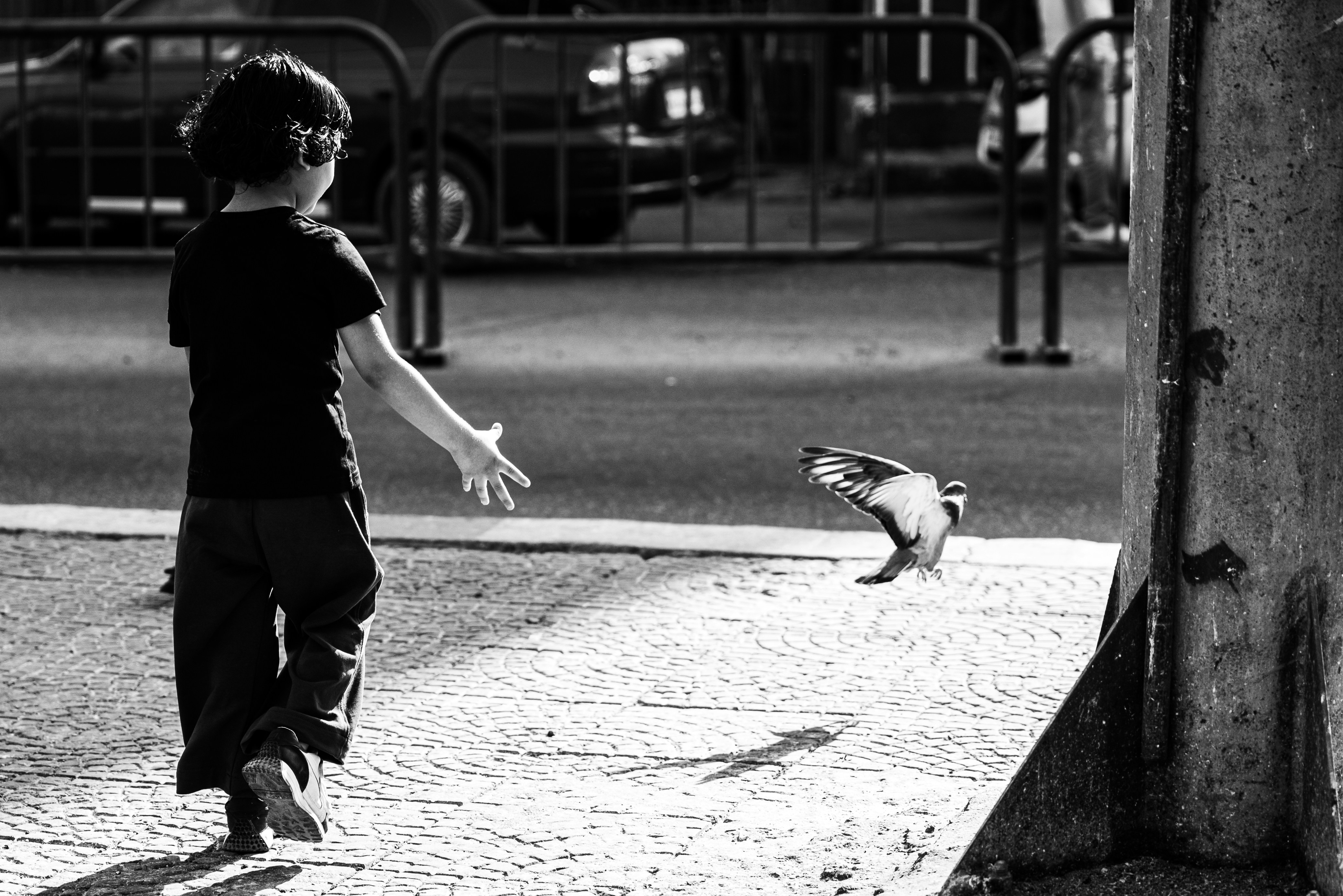 A child reaches for a bird taking flight.