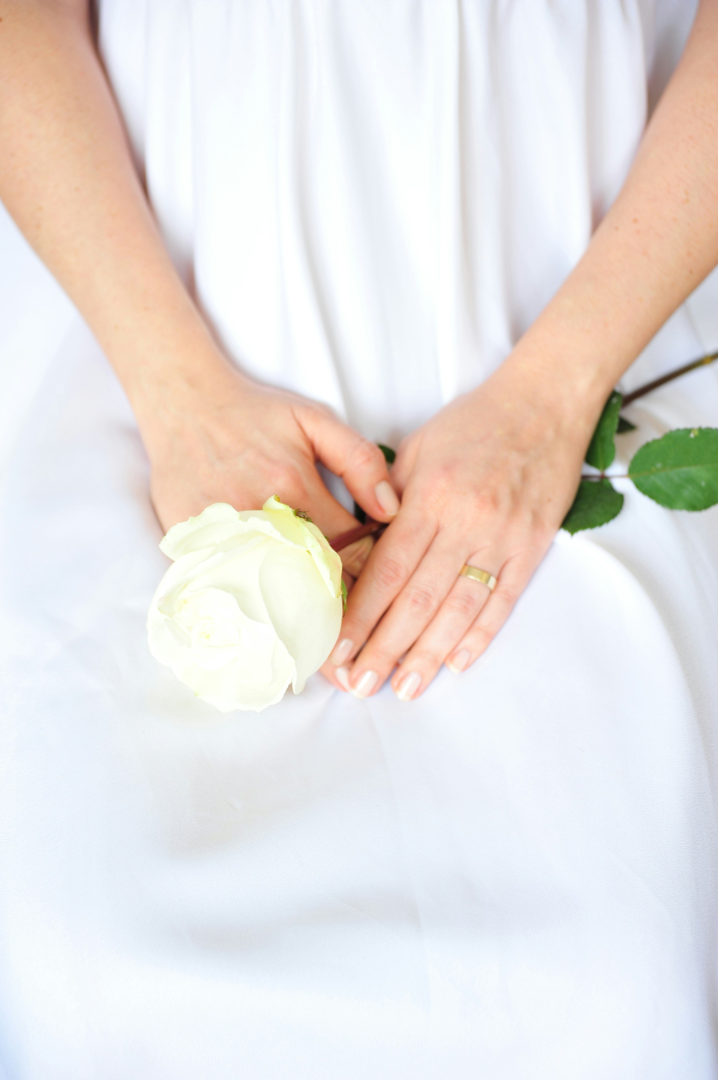 White Rose Quietly Resting in a Bride’s Hands