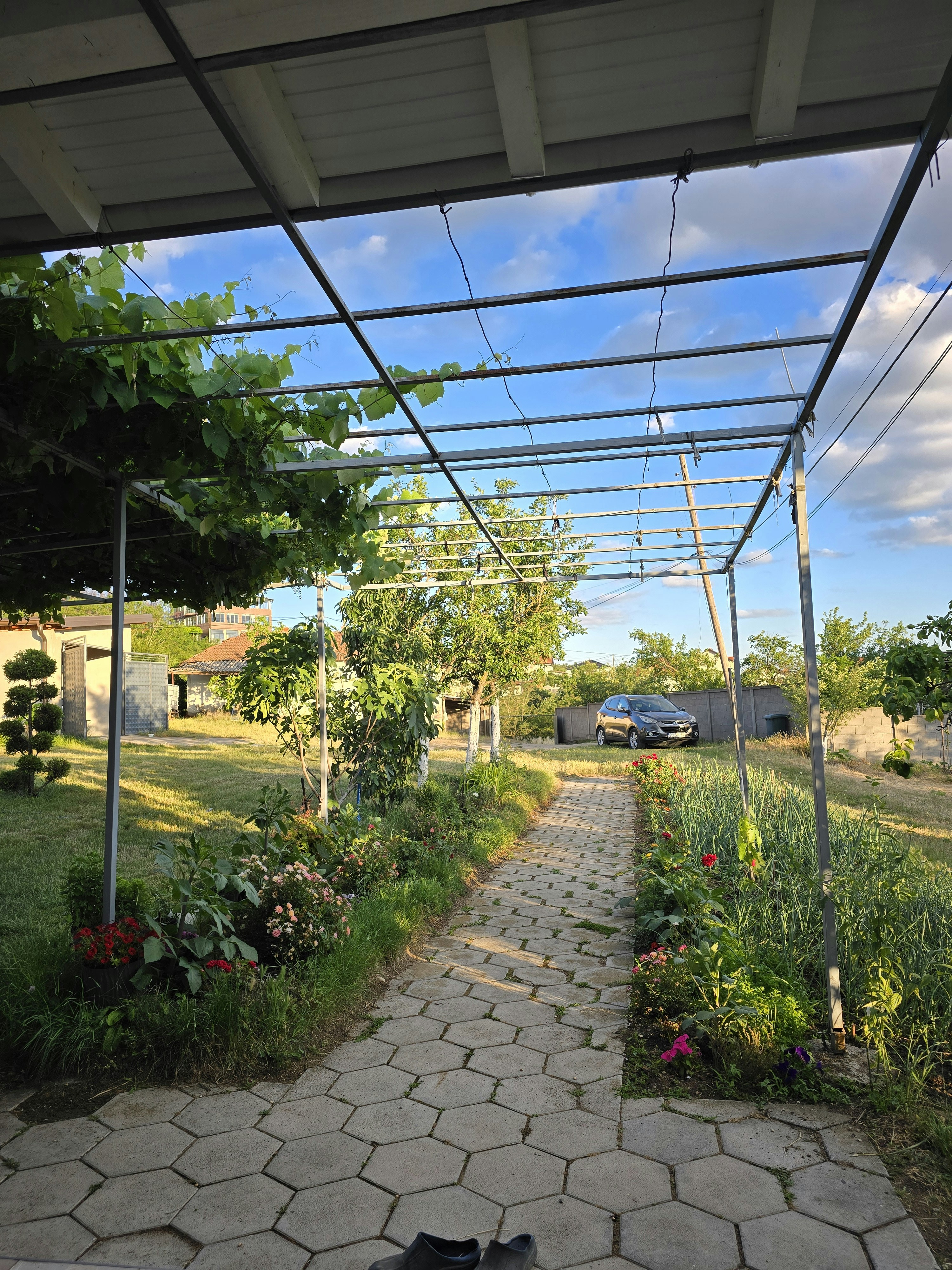 Garden Arcade: A Pergola Path Leading Toward a Sunlit Car