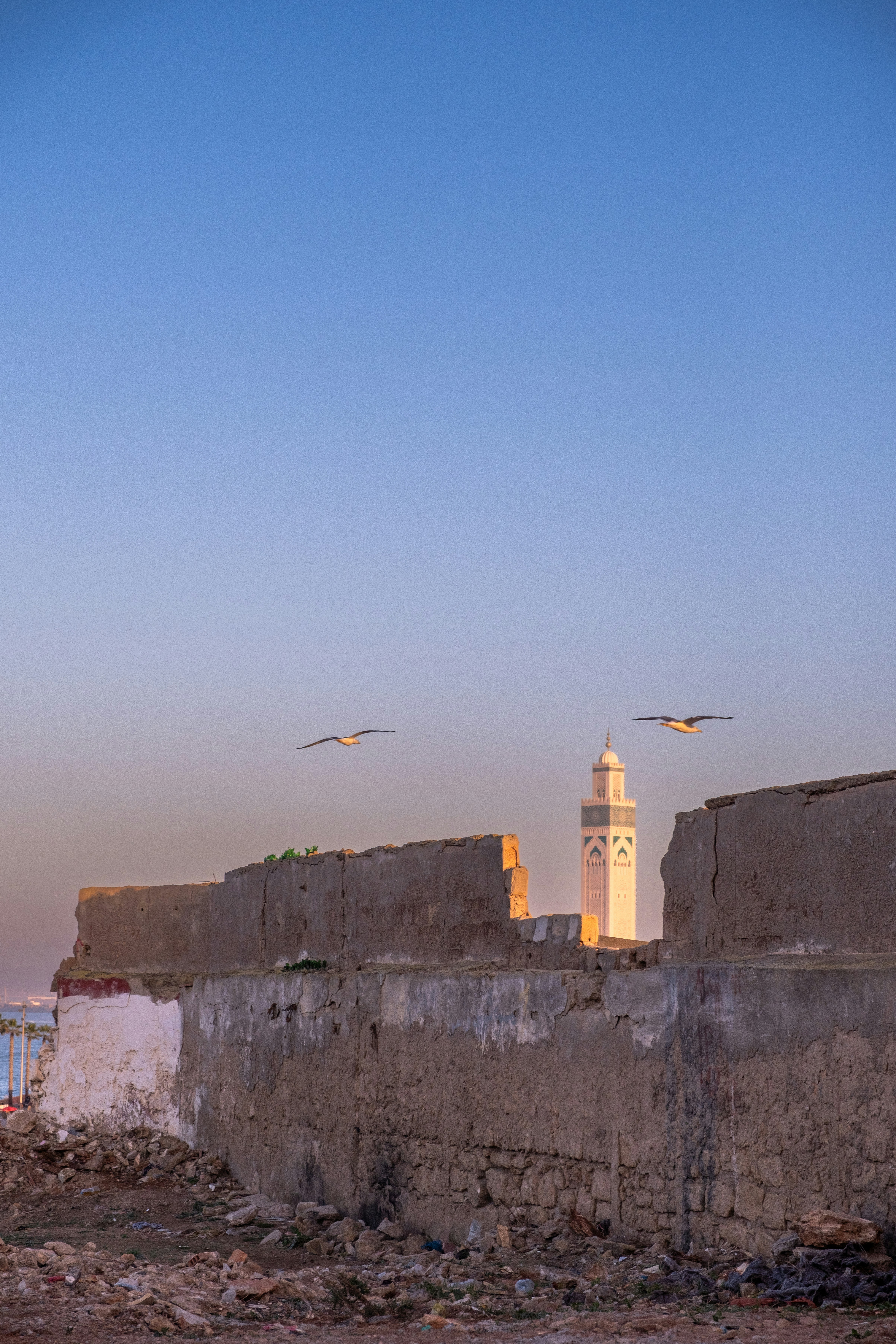 A compelling architectural composition in Casablanca, Morocco, featuring the distant minaret of the Hassan II Mosque catching the warm golden hour light. In the foreground, weathered concrete and stone walls create a stark contrast, while two seagulls fly across a clear, transitioning blue-to-pink evening sky, highlighting urban textures and coastal atmospheres.