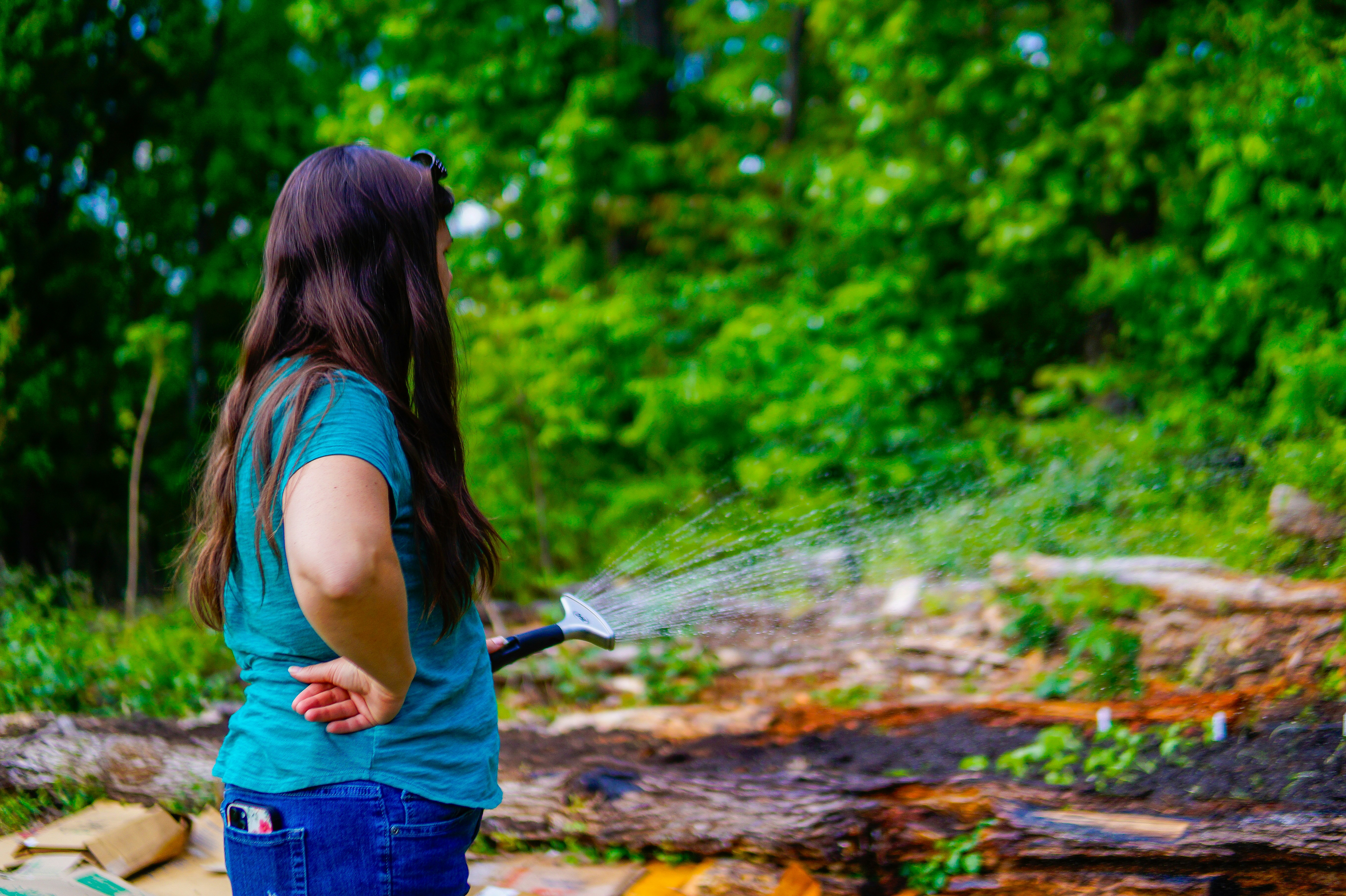 Sprinkler Sprint: A Moment of Focus Under Green Canopy