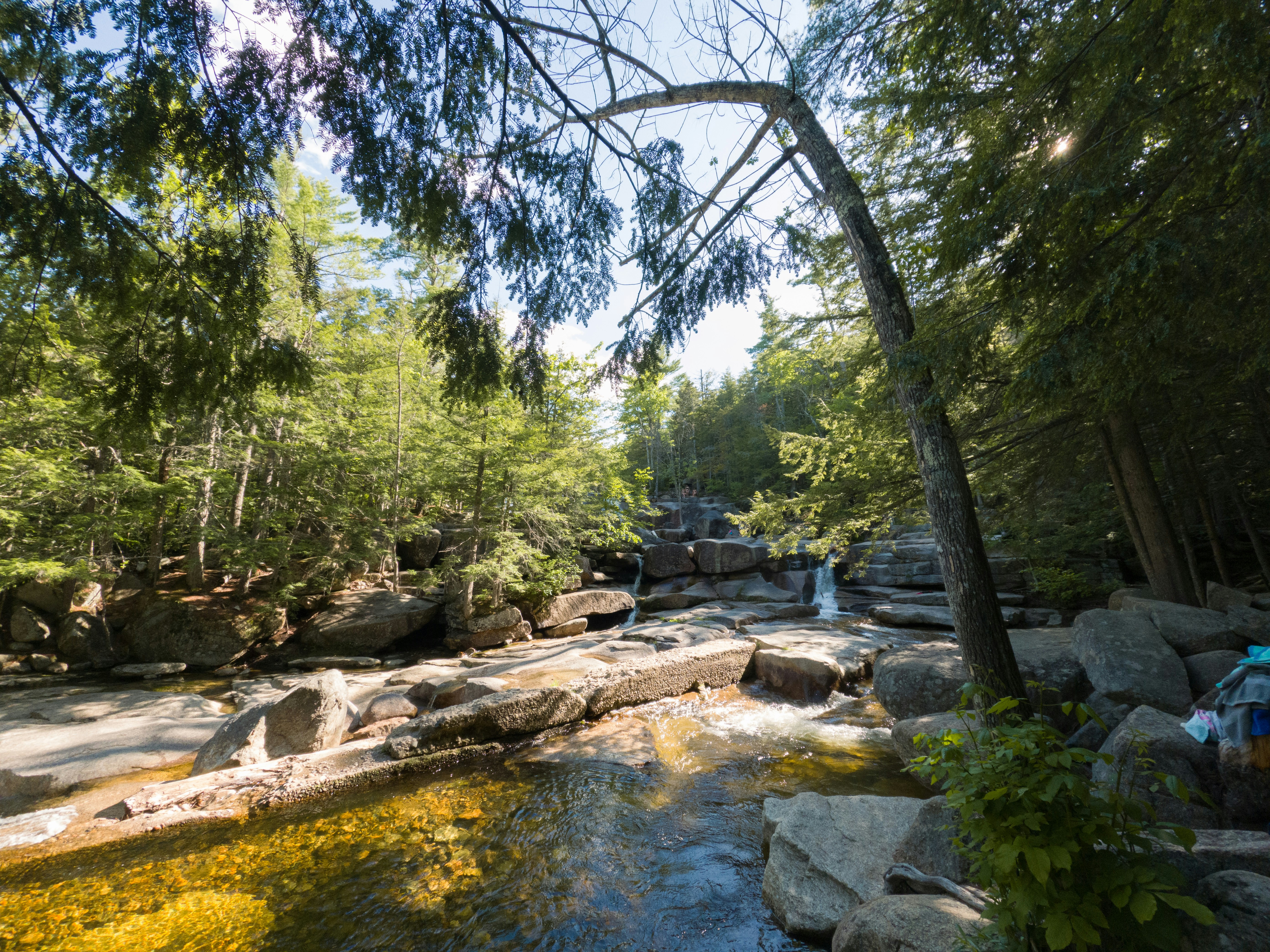 Sunlit Cascade Amid Granite and Pines