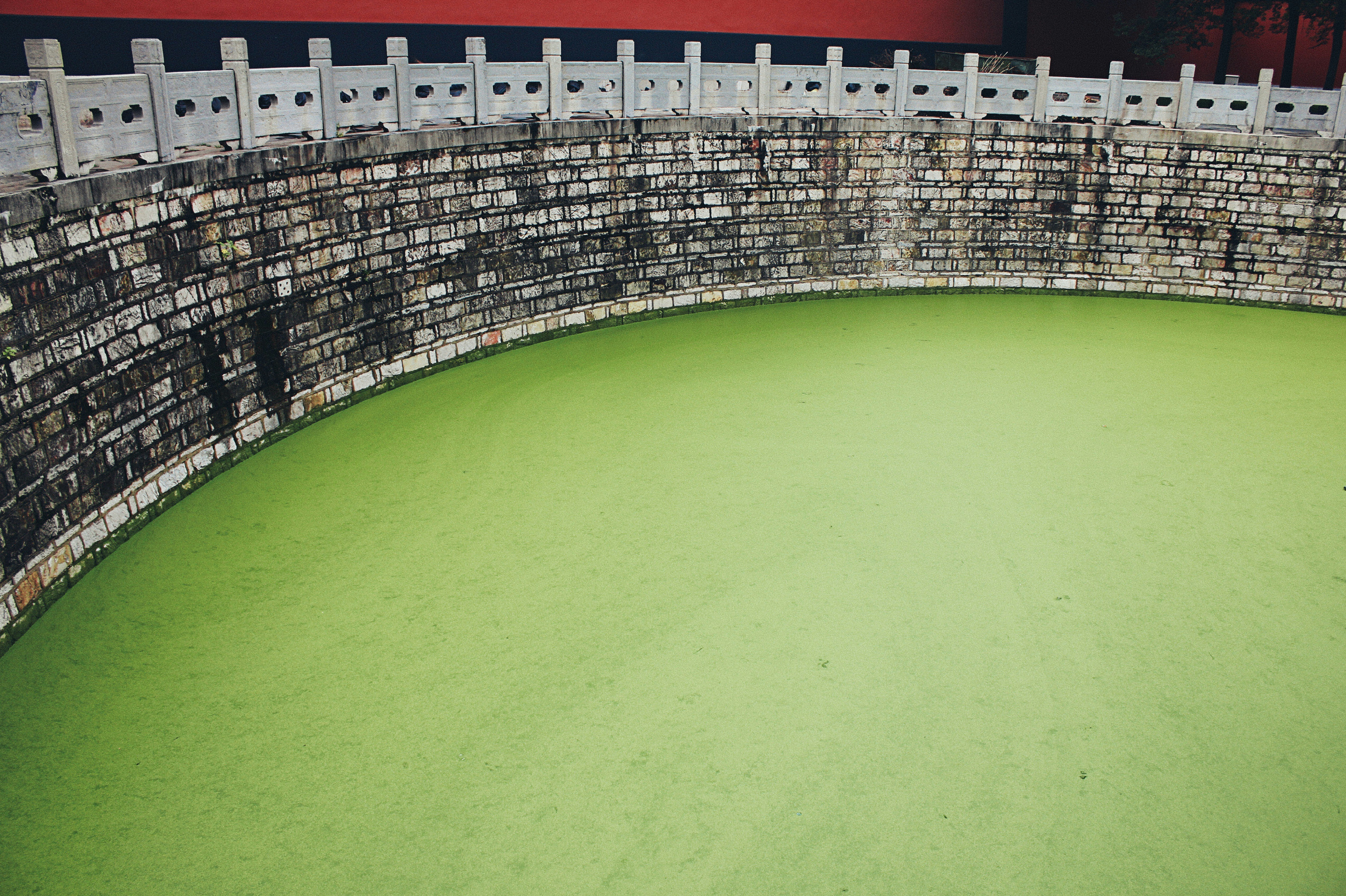 Verdant Circular Pool: Ancient Wall Encircling a Lime-green Mirror
