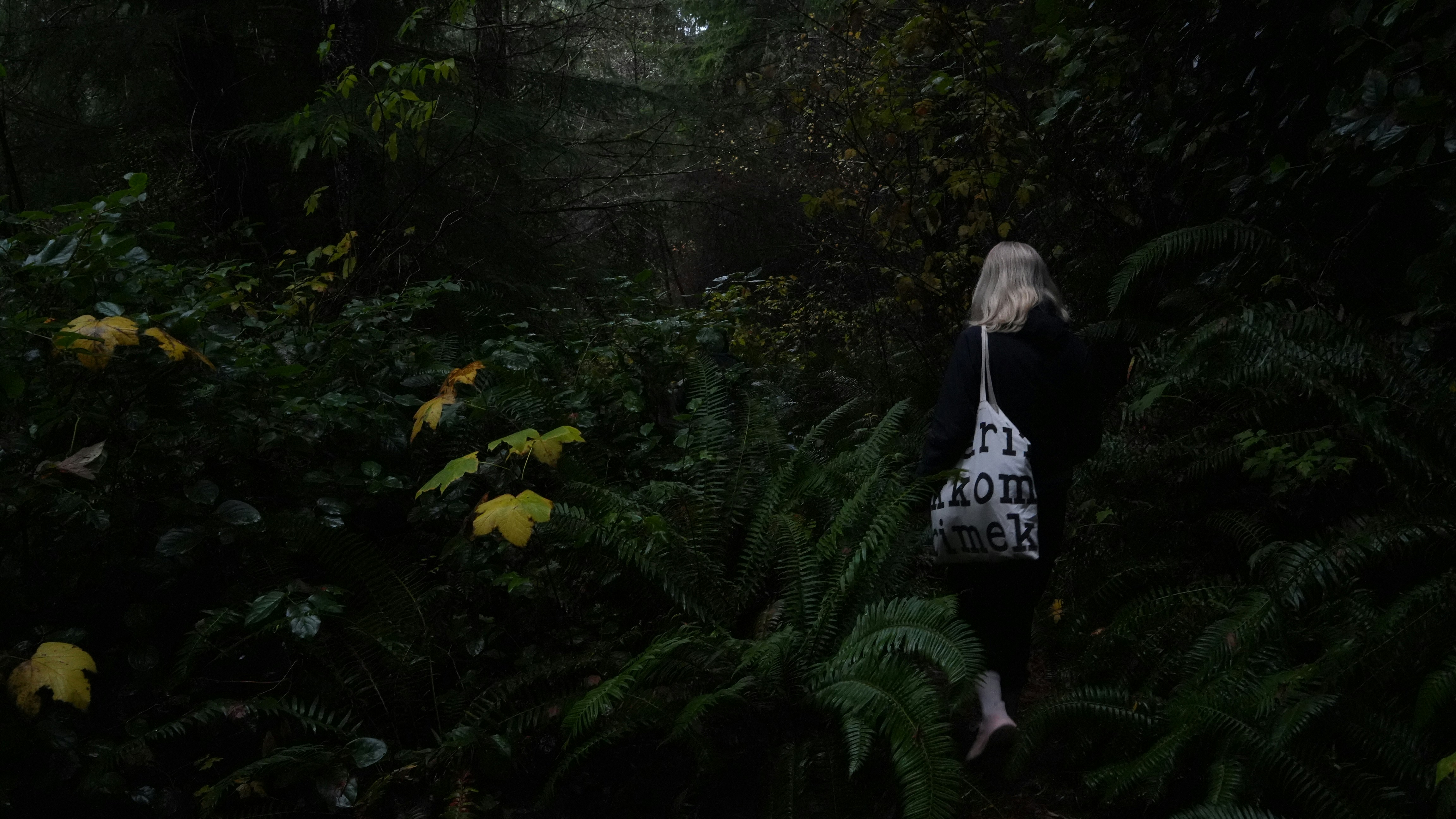 Silent Figure in the Fern-Gloom
