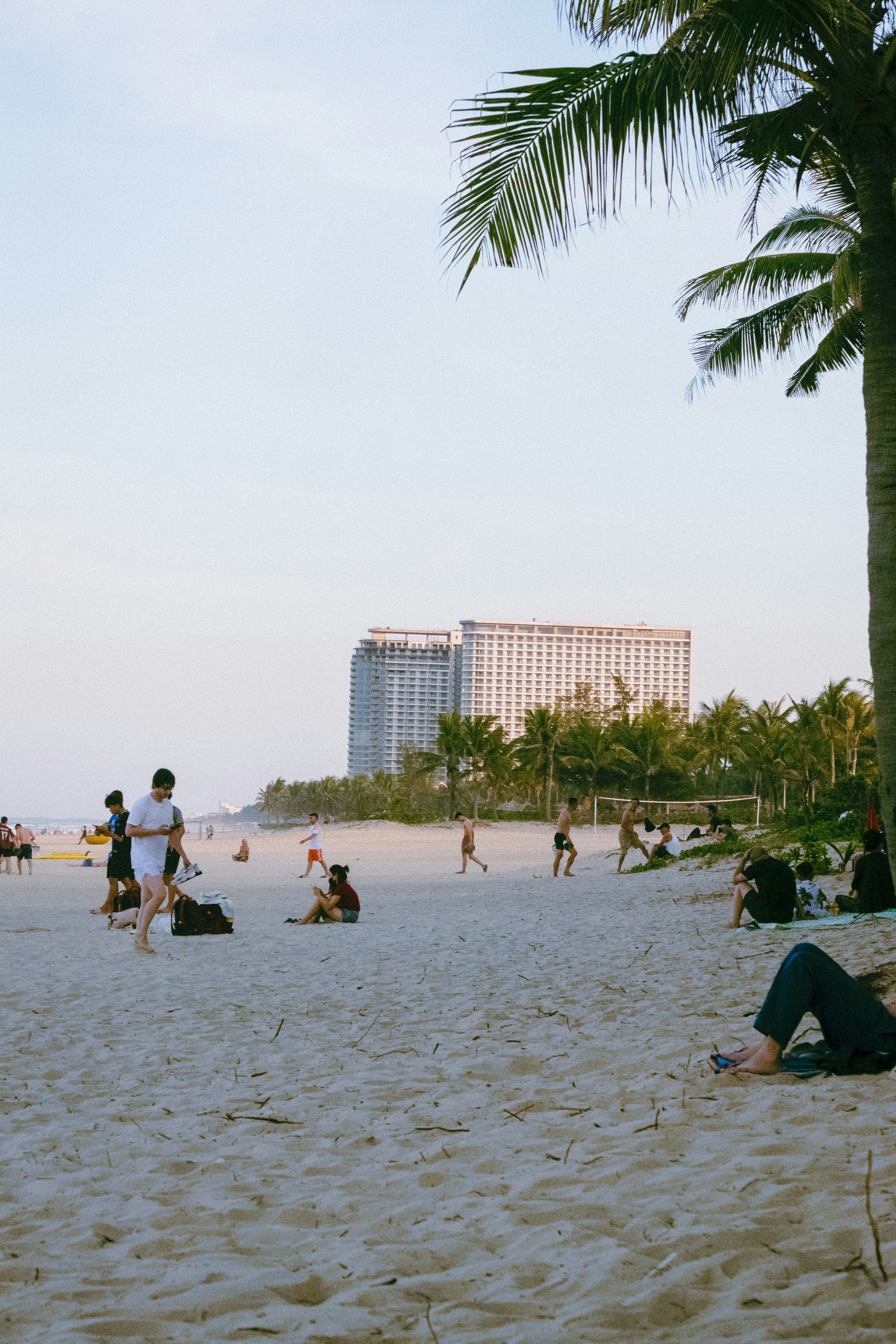 People enjoy a sunny beach with palm trees and a distant hotel; a wide, relaxed scene capturing beachgoers and shoreline activity.