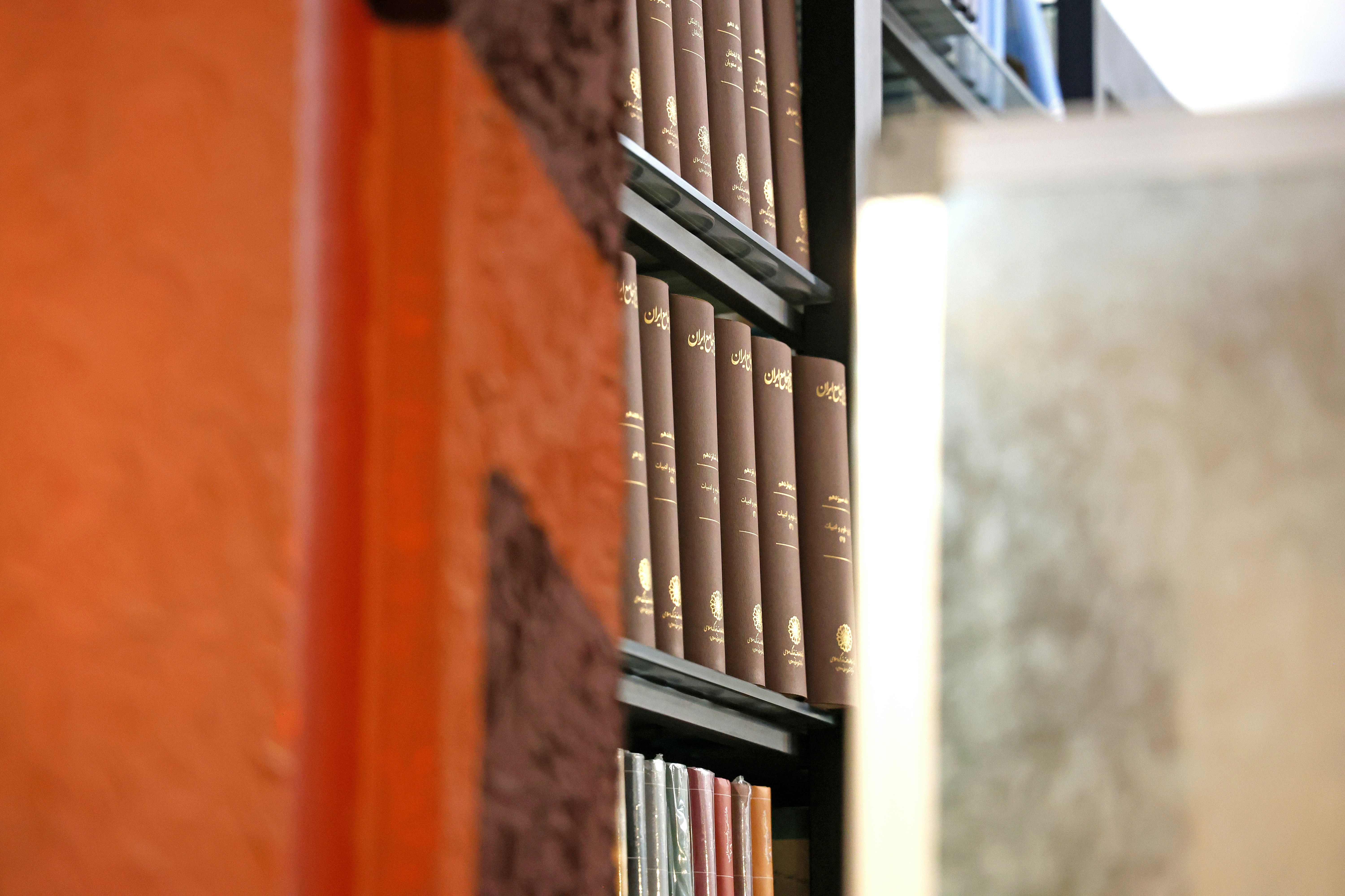 A Narrow View Through Leather-Bound Rows
