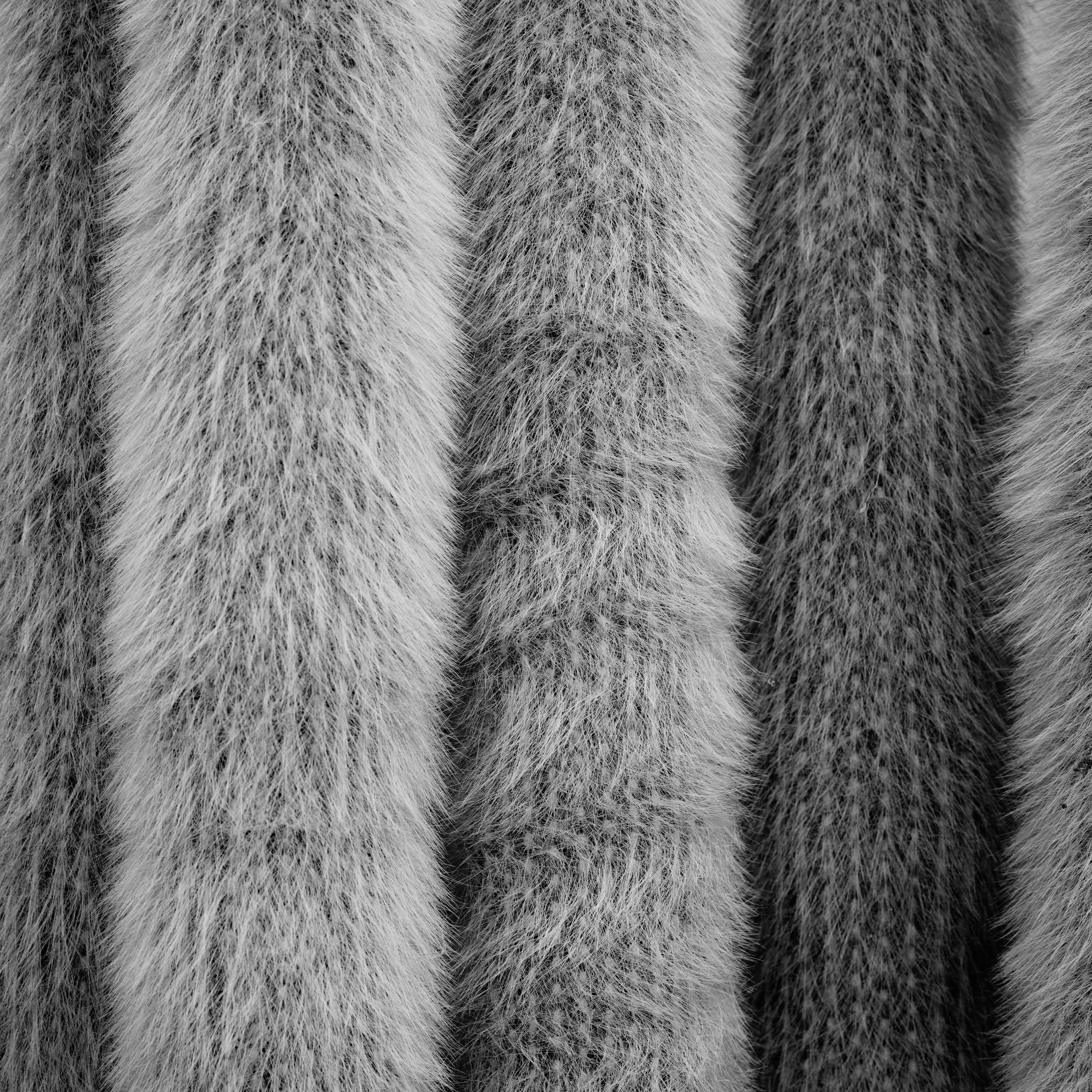 Stripes of Fur: A Close-Up Study in Texture and Grayscale