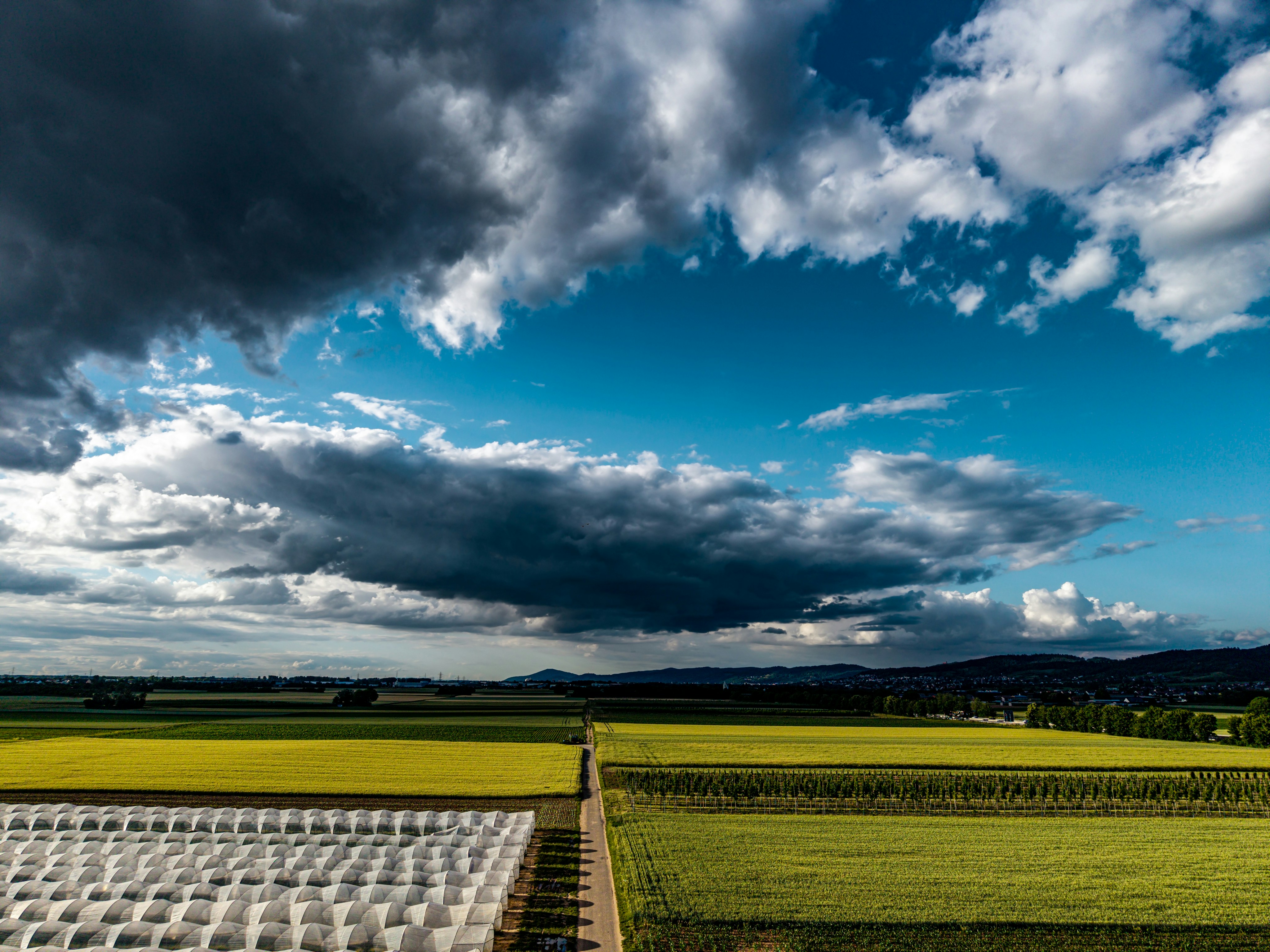 Yellow and green fields beneath a stormy and clear sky.