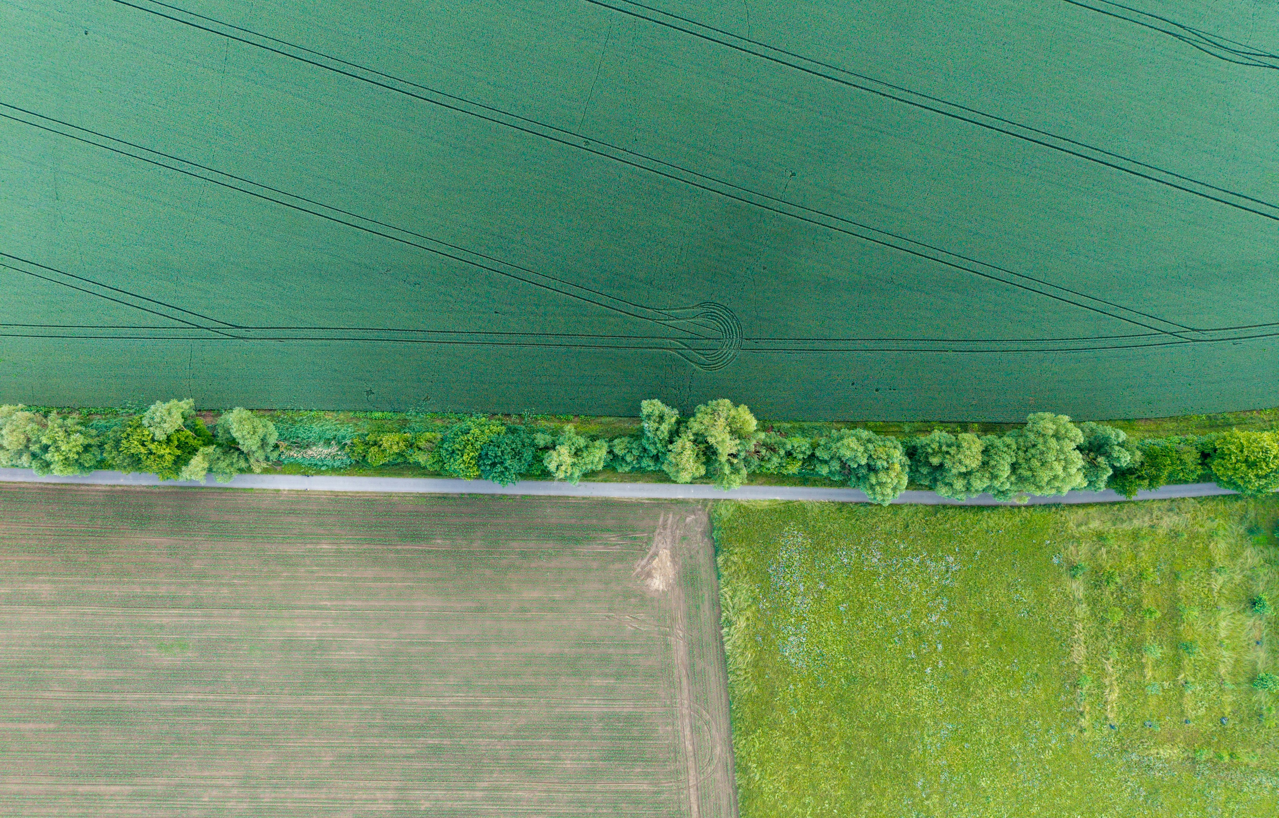 Overhead view of green fields, trees, and tilled land.