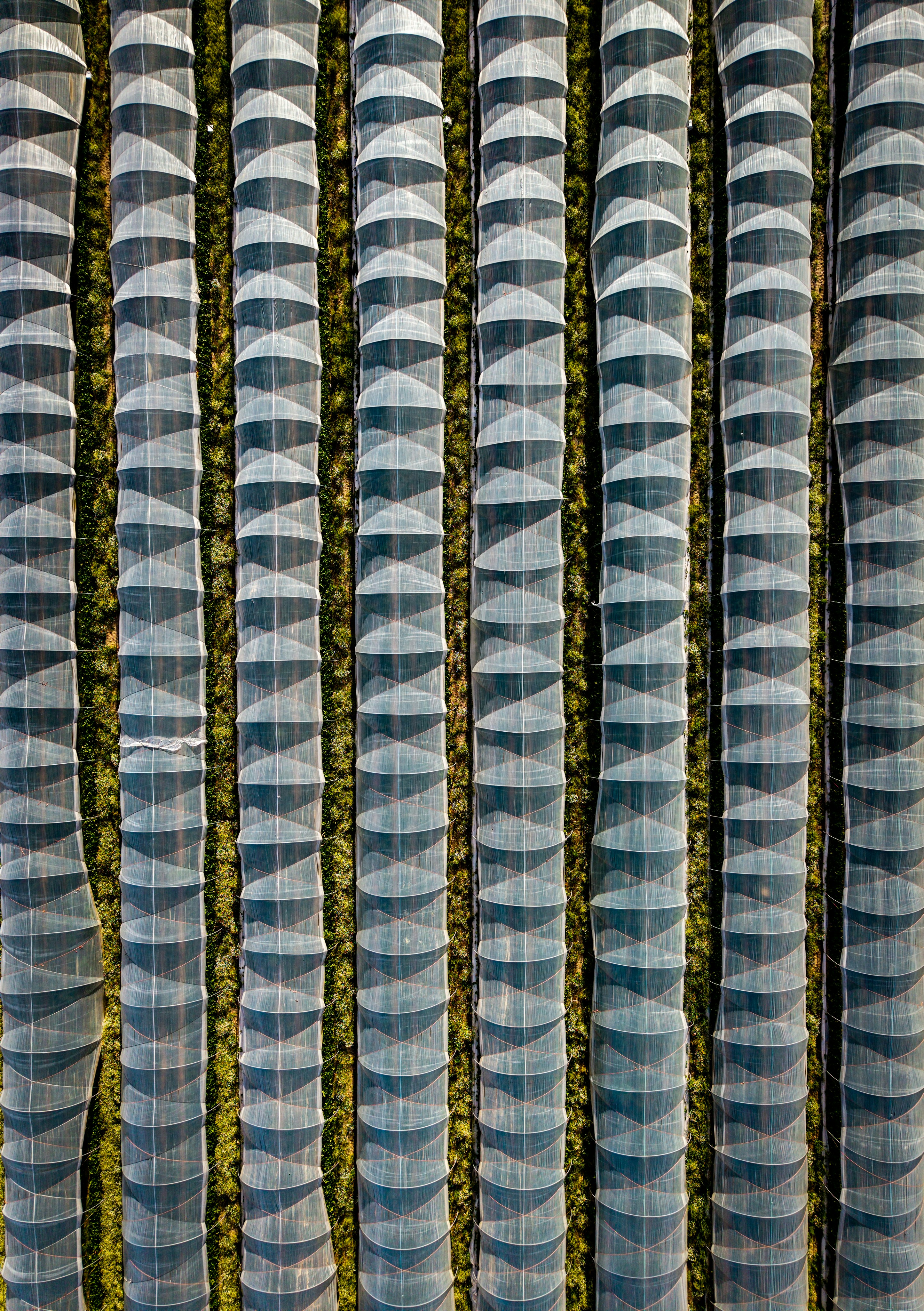 Metallic Ribbons: Aerial Shingles of Solar Rows