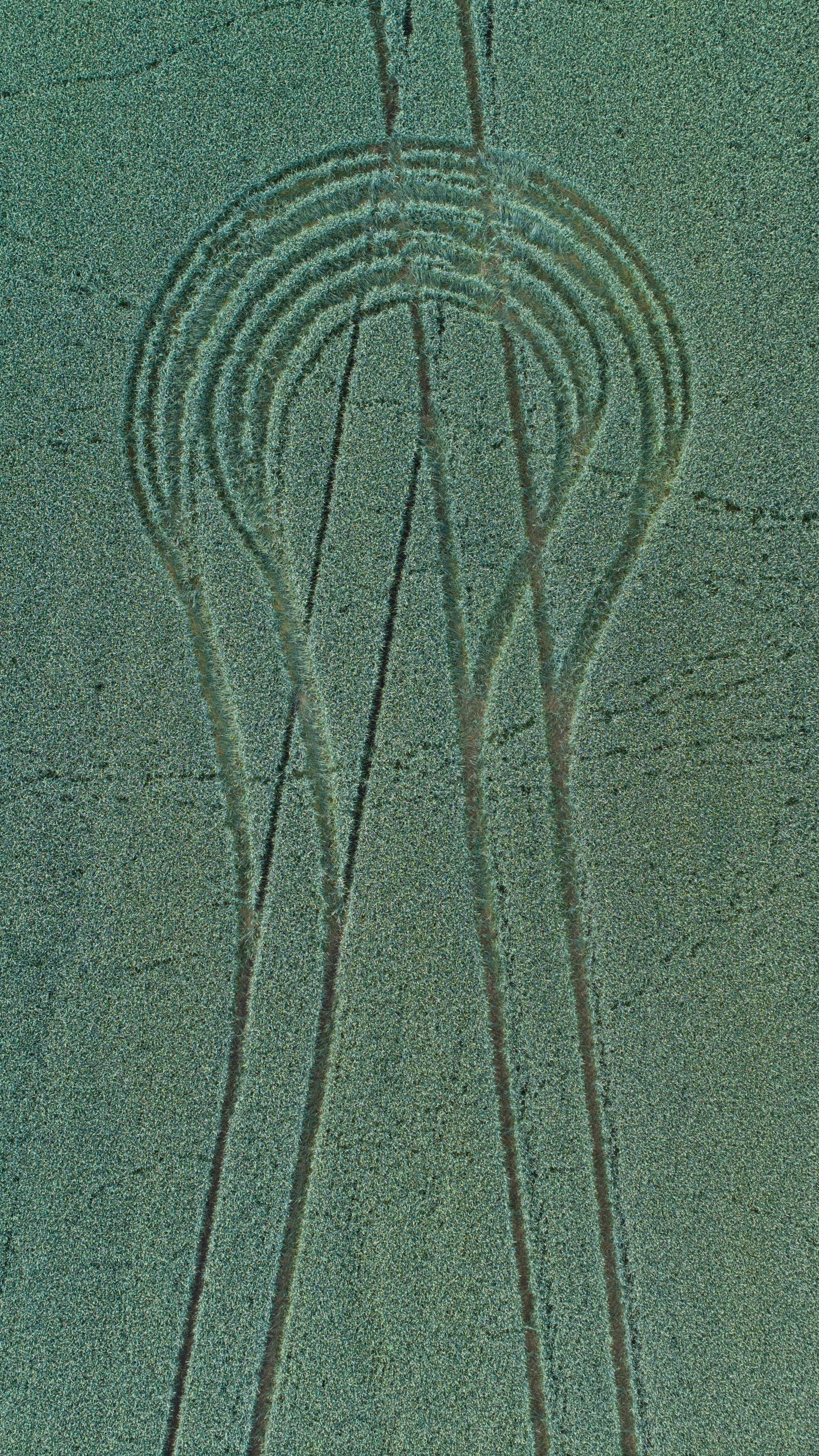 Foamy Spiral Traces on Sand: A Subtle Long-Exposures Marking a Coastal Moment