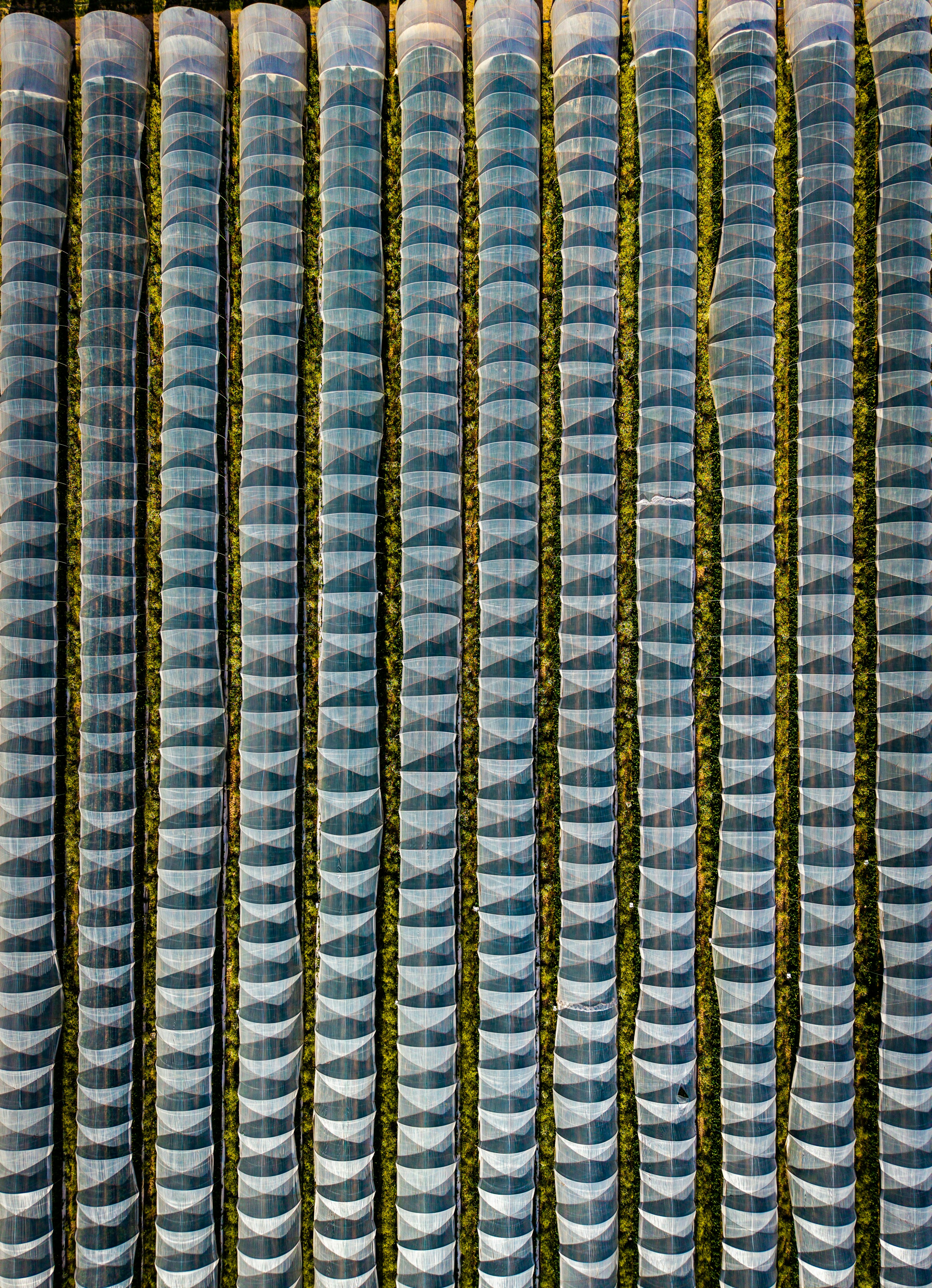 Strings of Light: Repeating Helical Reflections