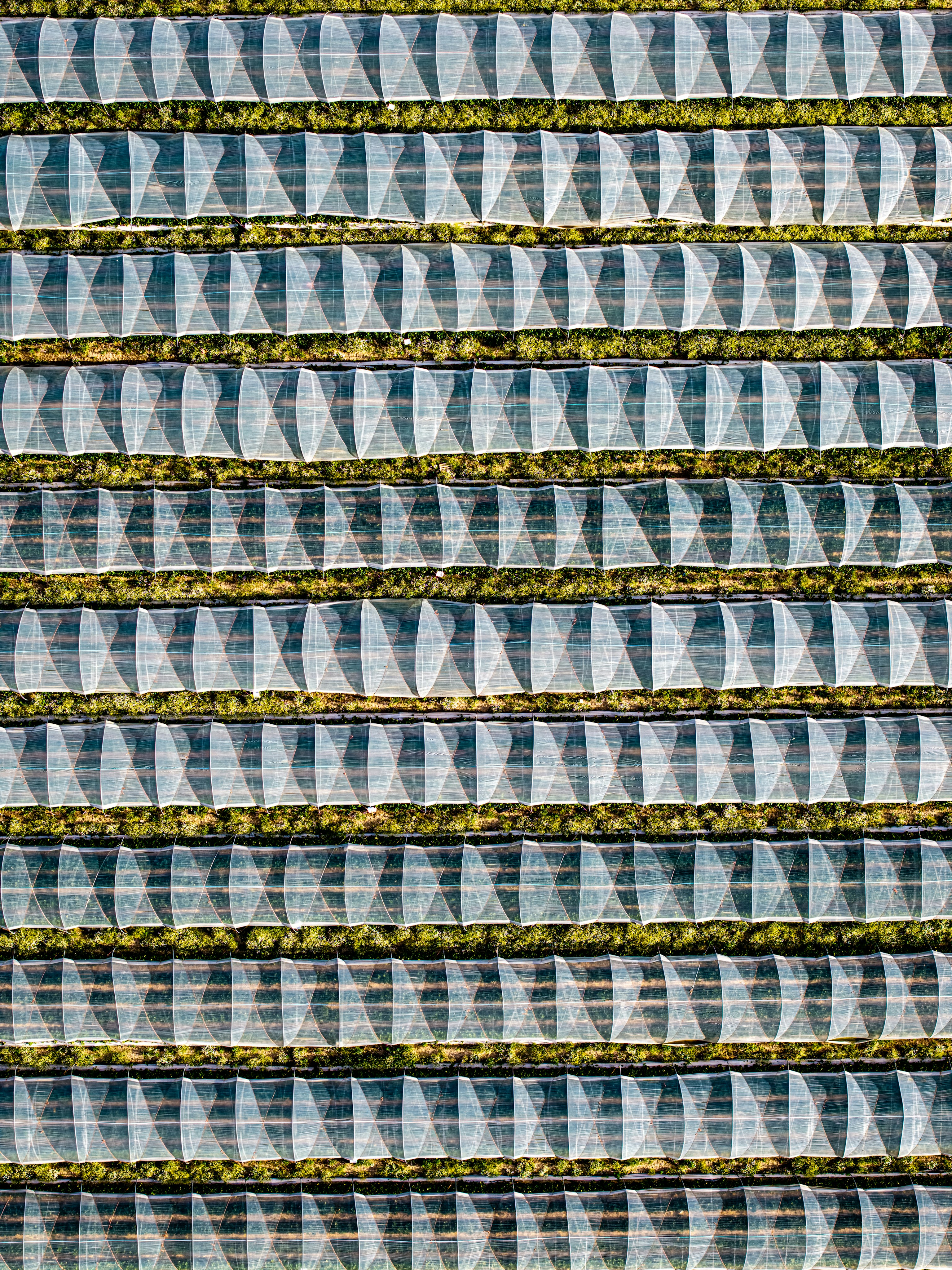 Geometric Frost: a Repeating Pattern of Frosted Triangles Across Asphalt Rows