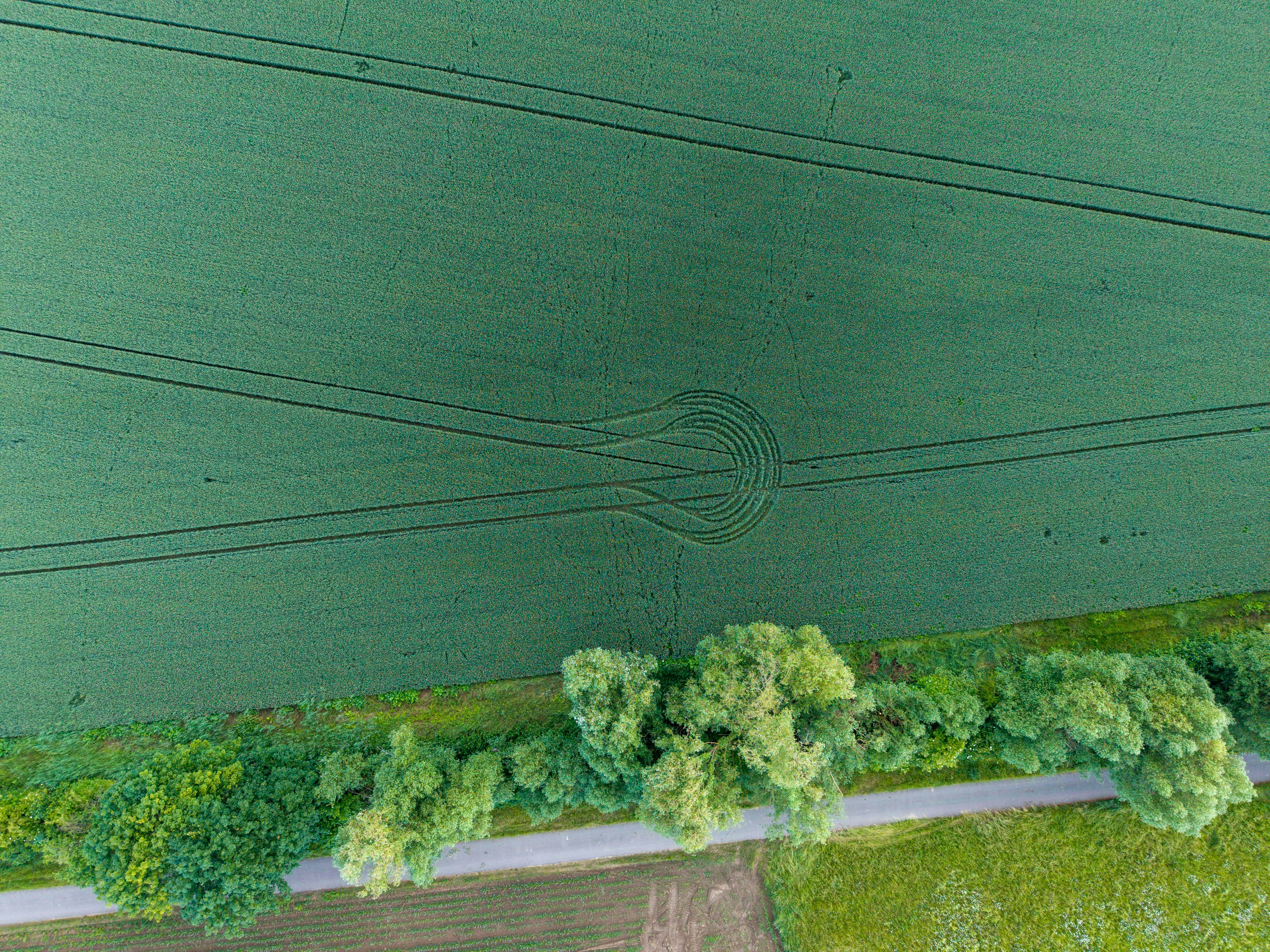 Rectilinear Fields: Aerial Fiber Lines Crossing a Green Divide