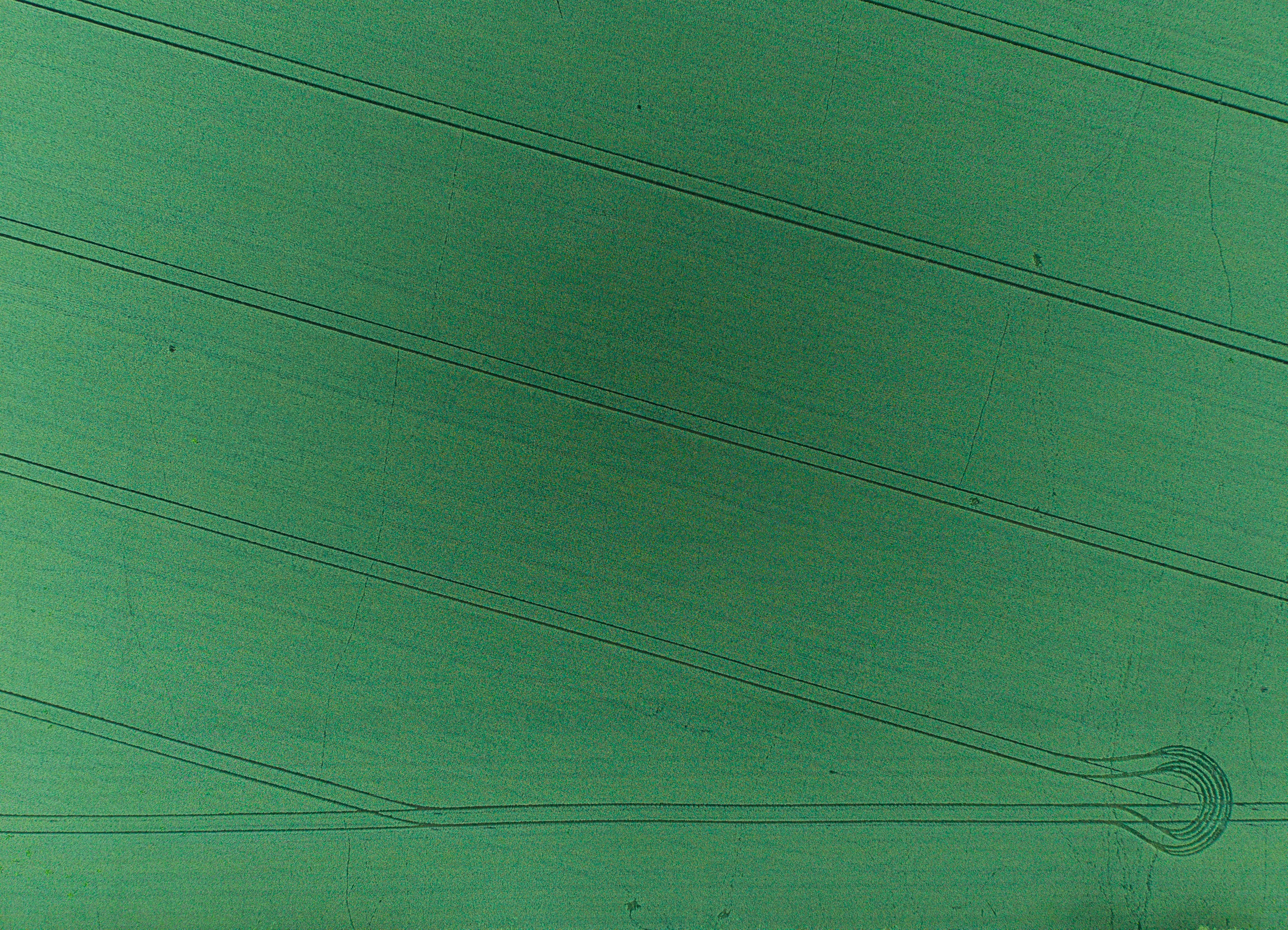 Green field lines converge to a subtle horizon edge