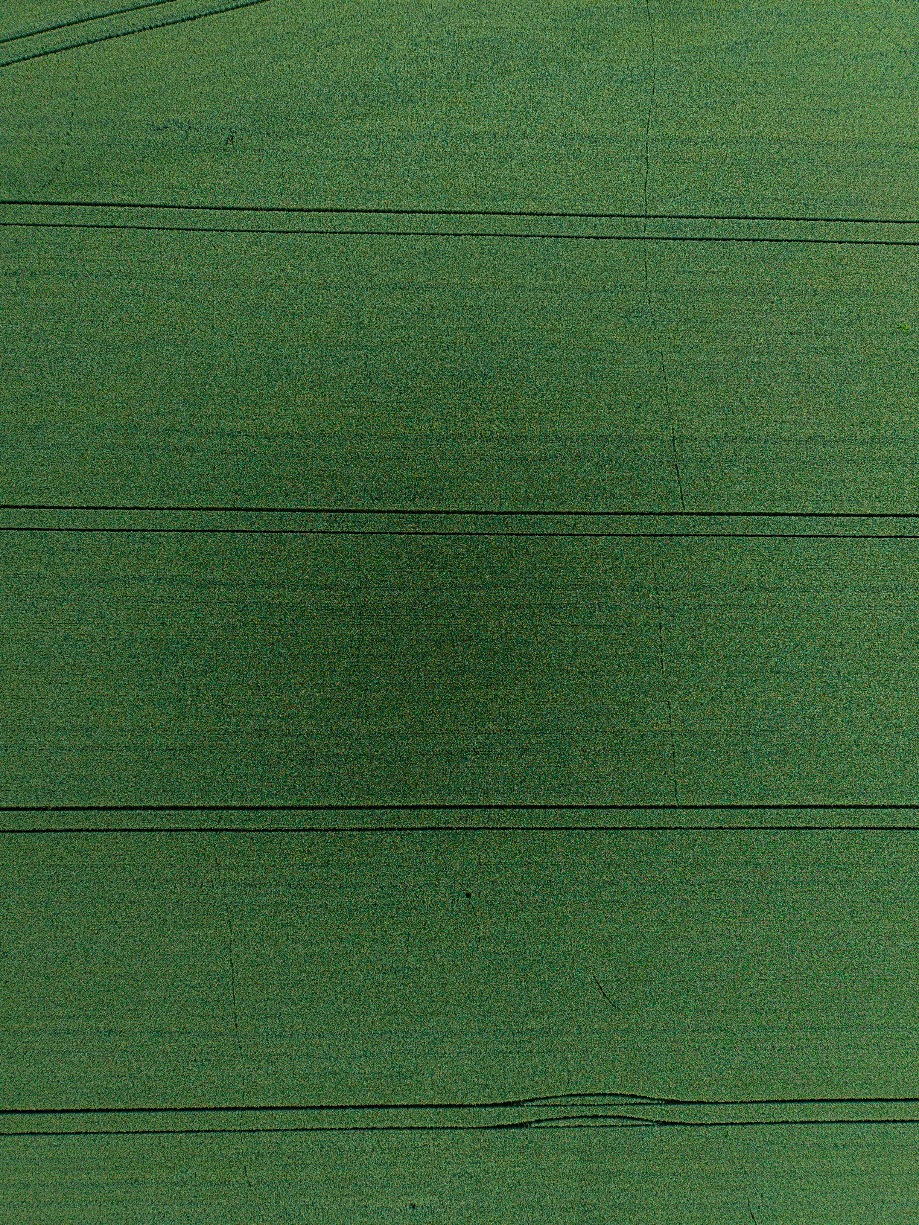 A dark green background with faint horizontal lines.