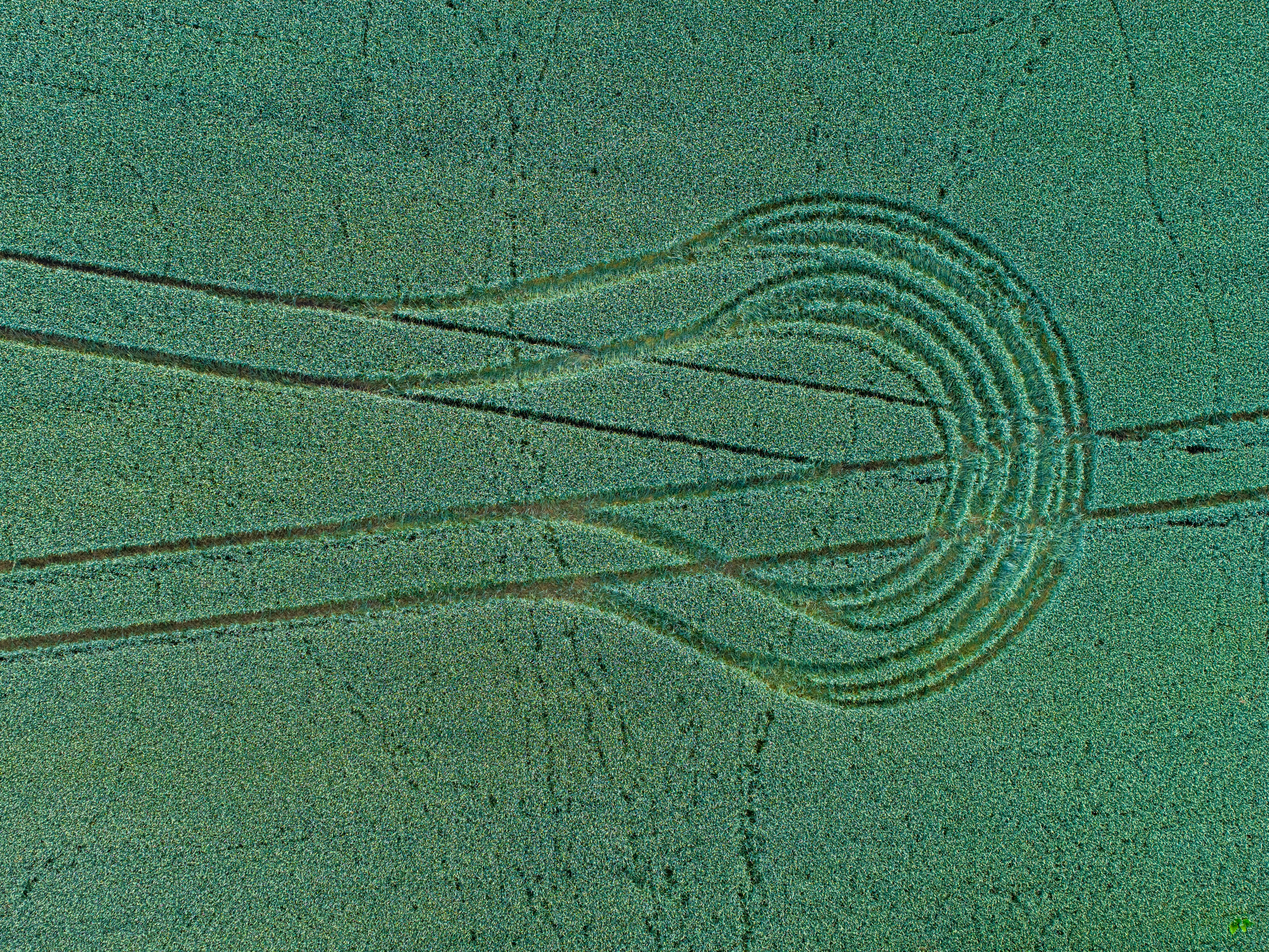 Concentric Ridge Graffiti: A Green-Tinted Ring Mark on Worn Steel