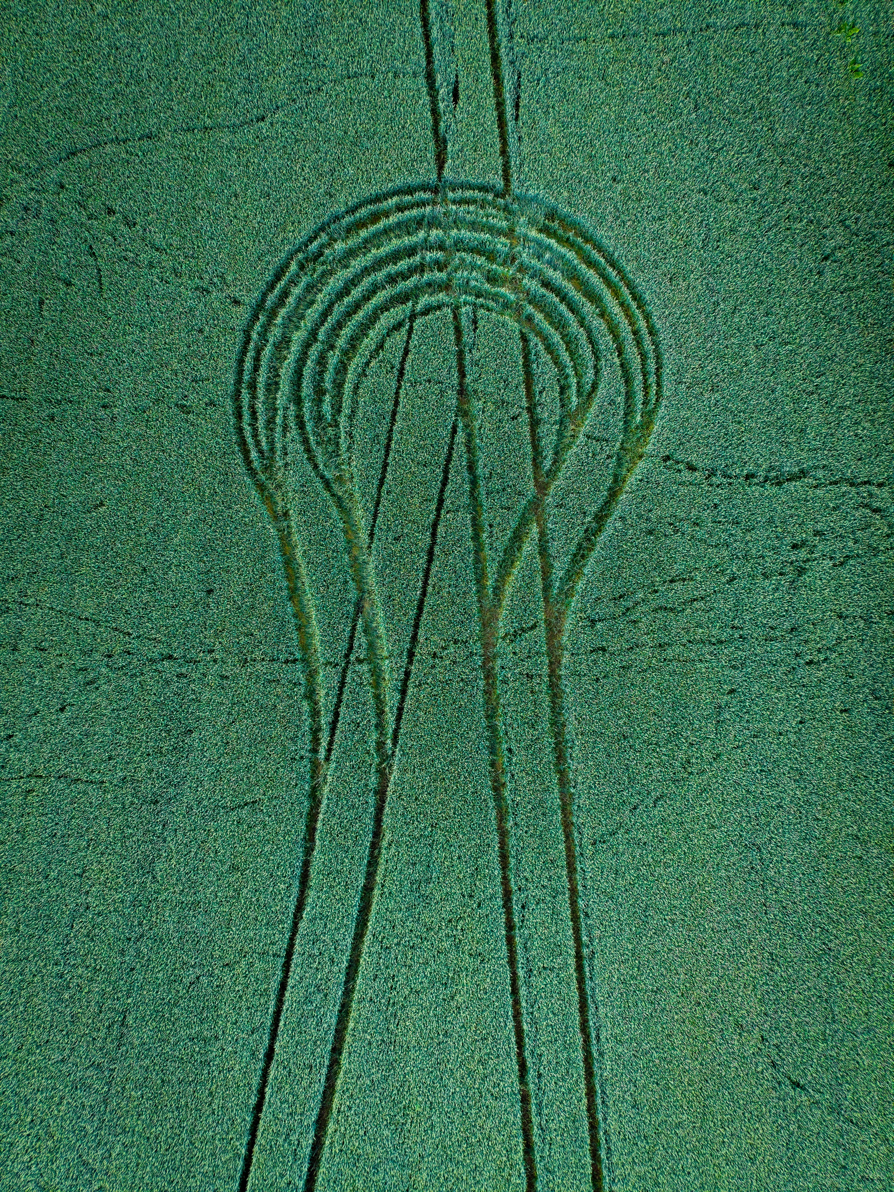 Green Concentric Loops on a Concrete Canvas