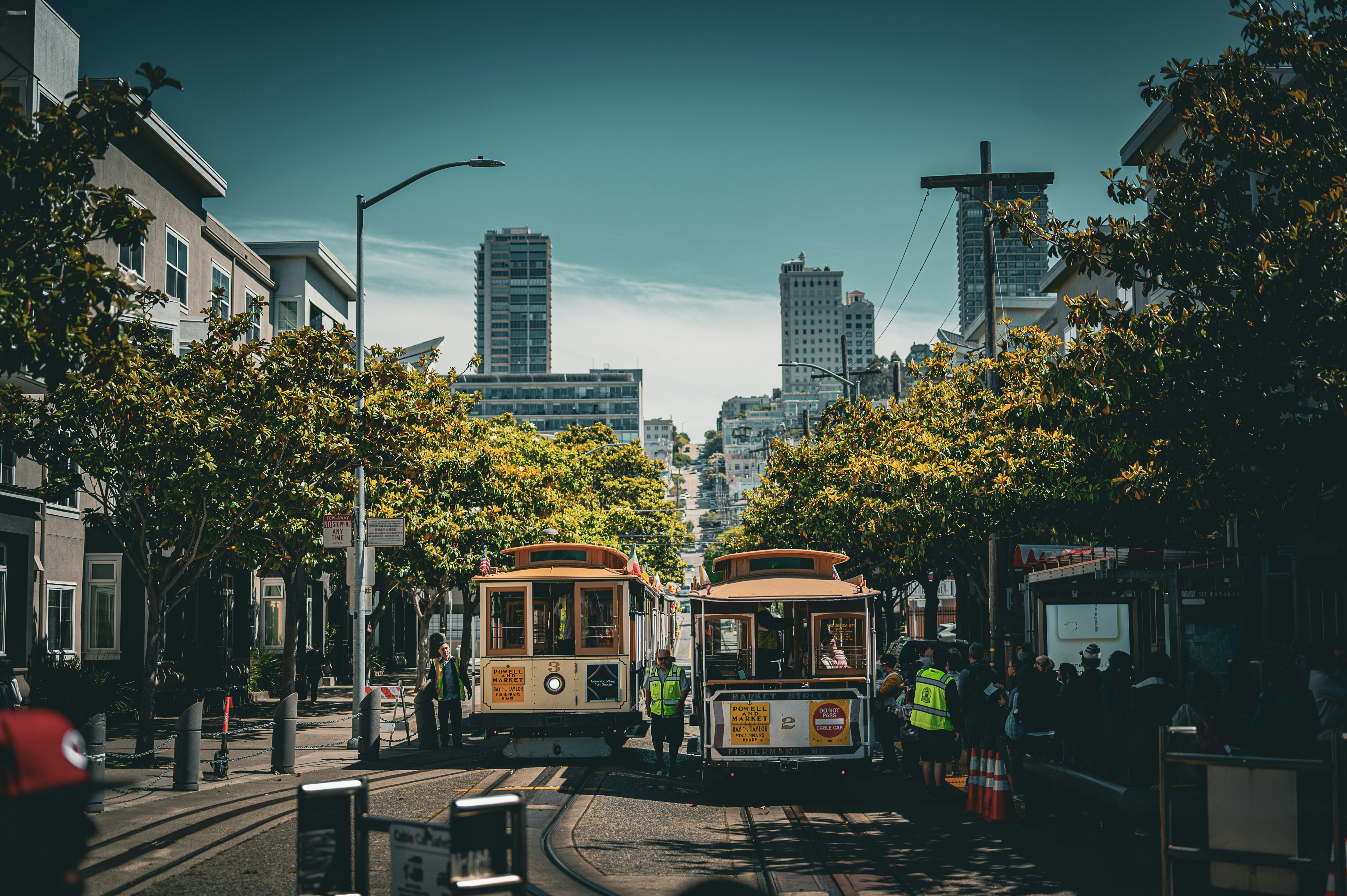 Twin Trolleys of the Sunlit Avenue