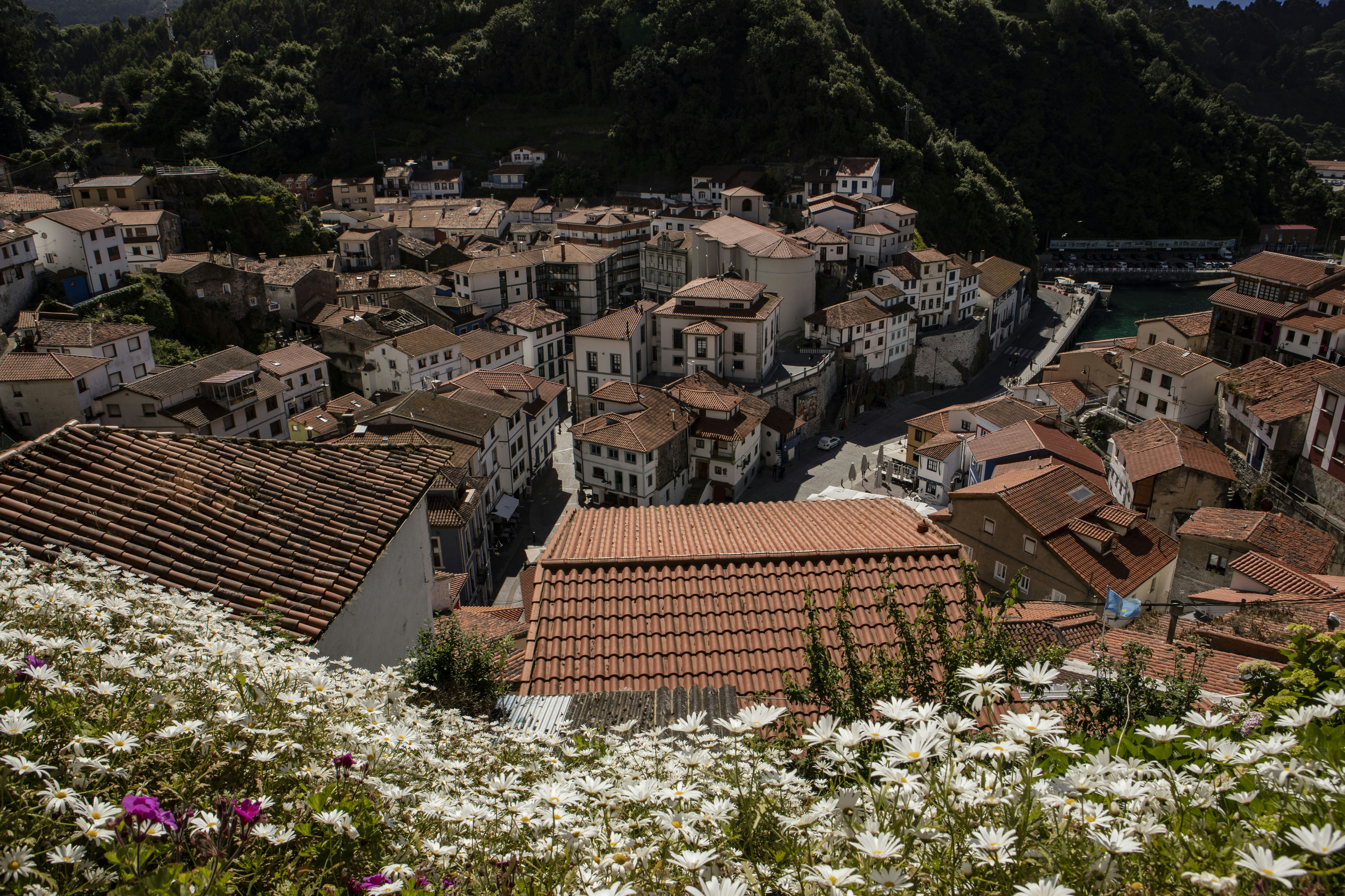 Terracotta Roofs Descend from the Ridge into a Coastal Village