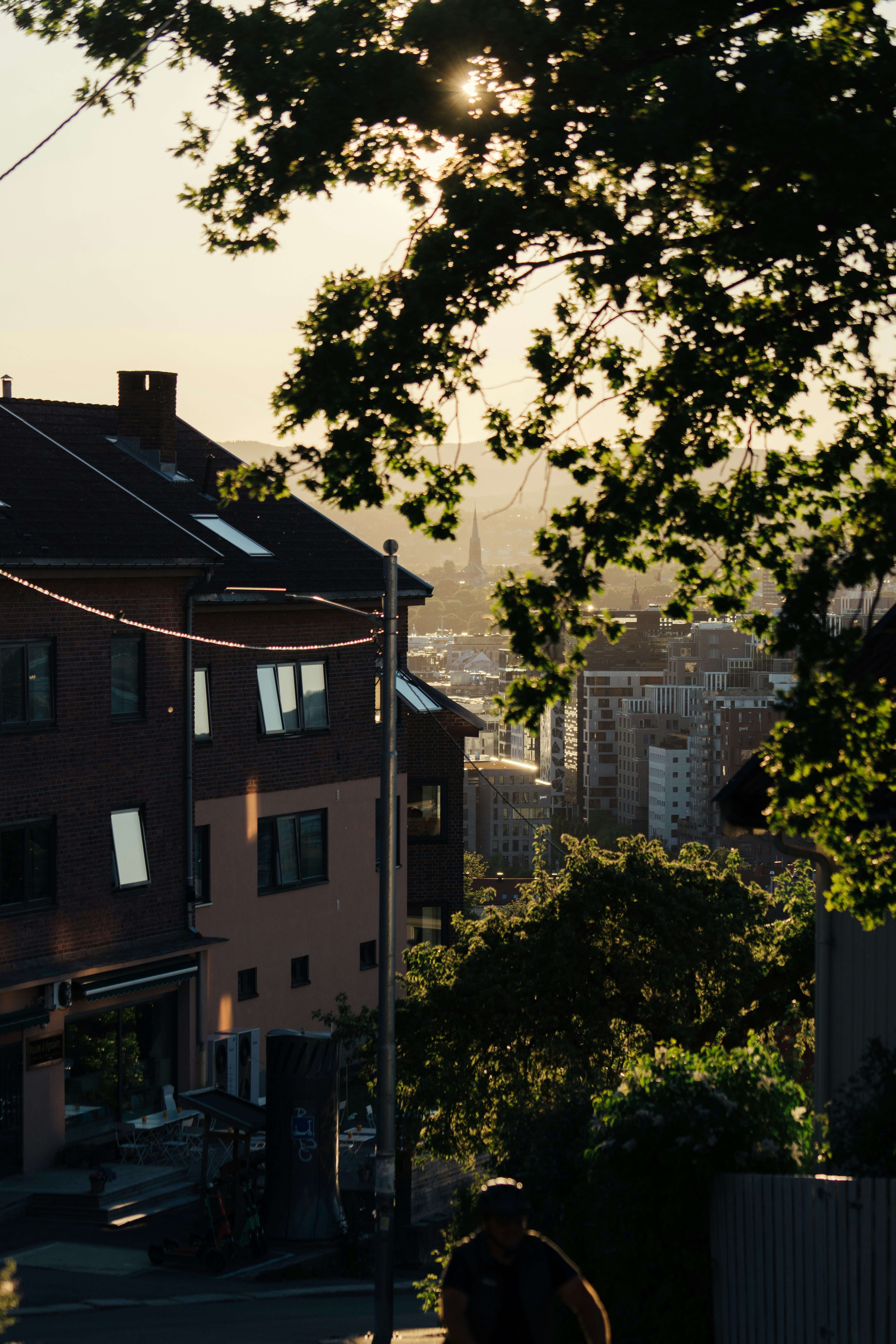 Sunlit hillside street tucked beneath a canopy of leaves