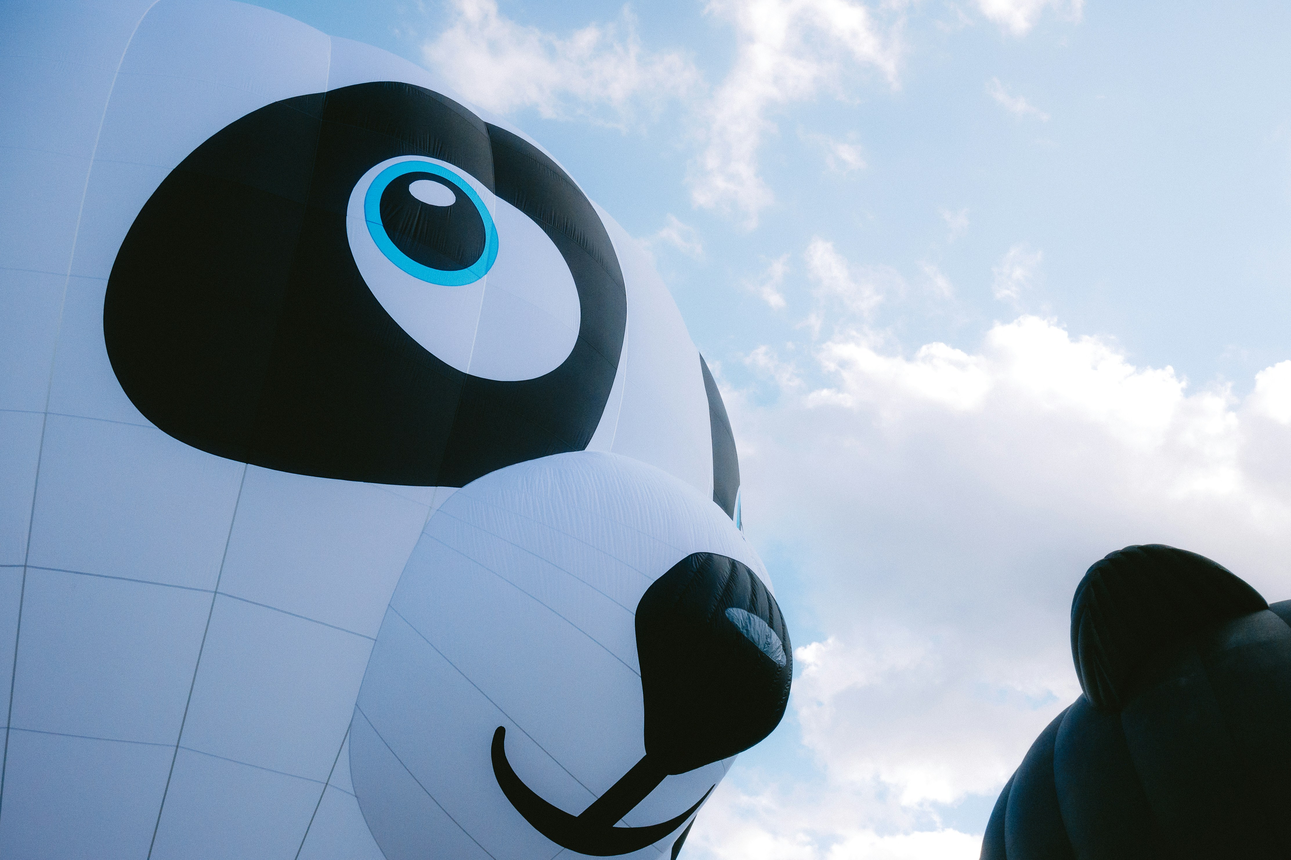 Close-up of a giant panda balloon against a blue sky