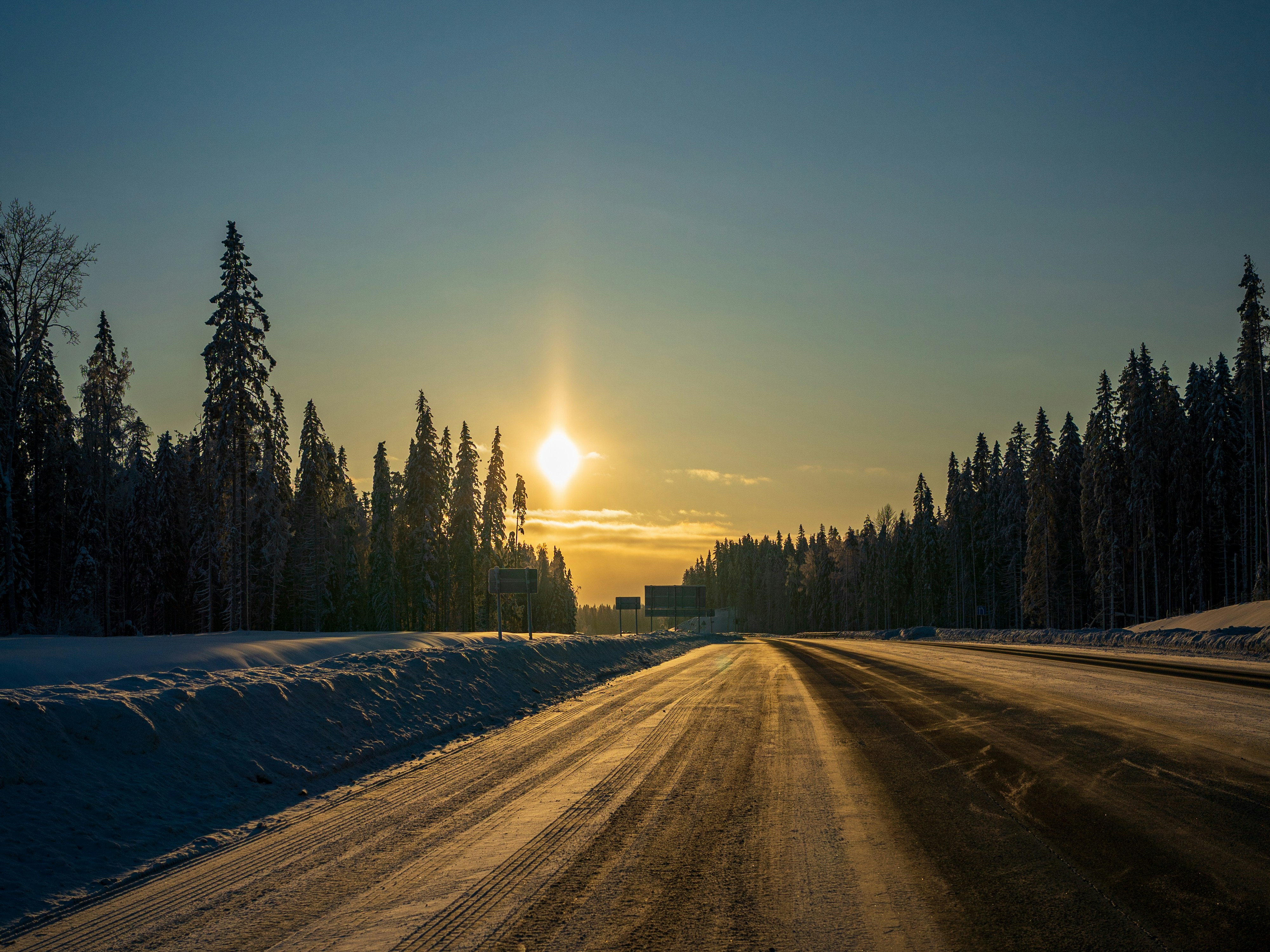 Sunlit Road Through Snowy Pines at Dawn