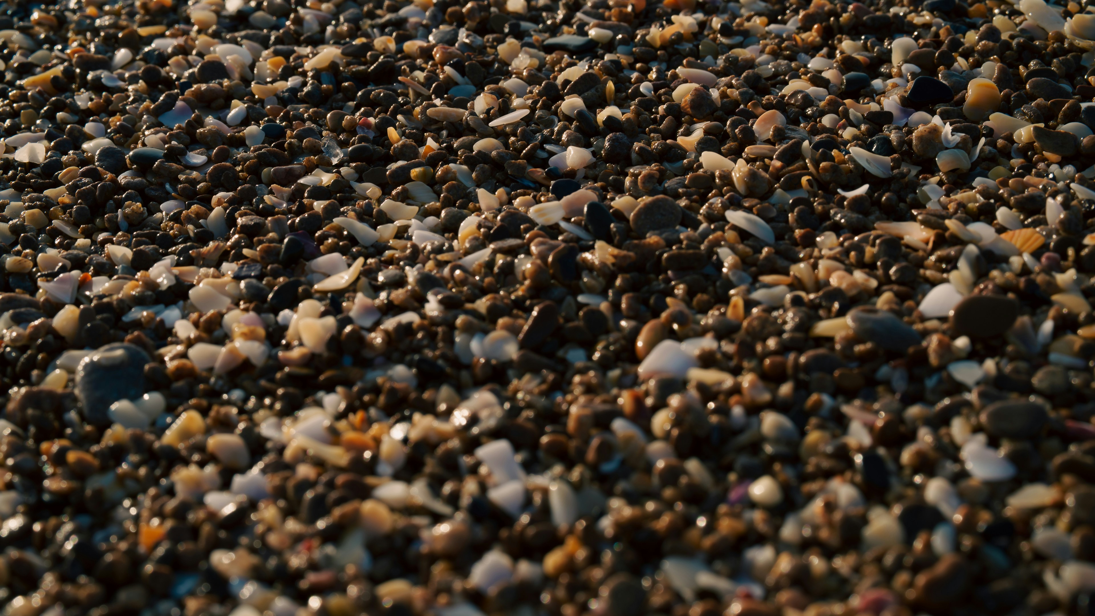 Pebble Mosaic at Golden Hour Beach